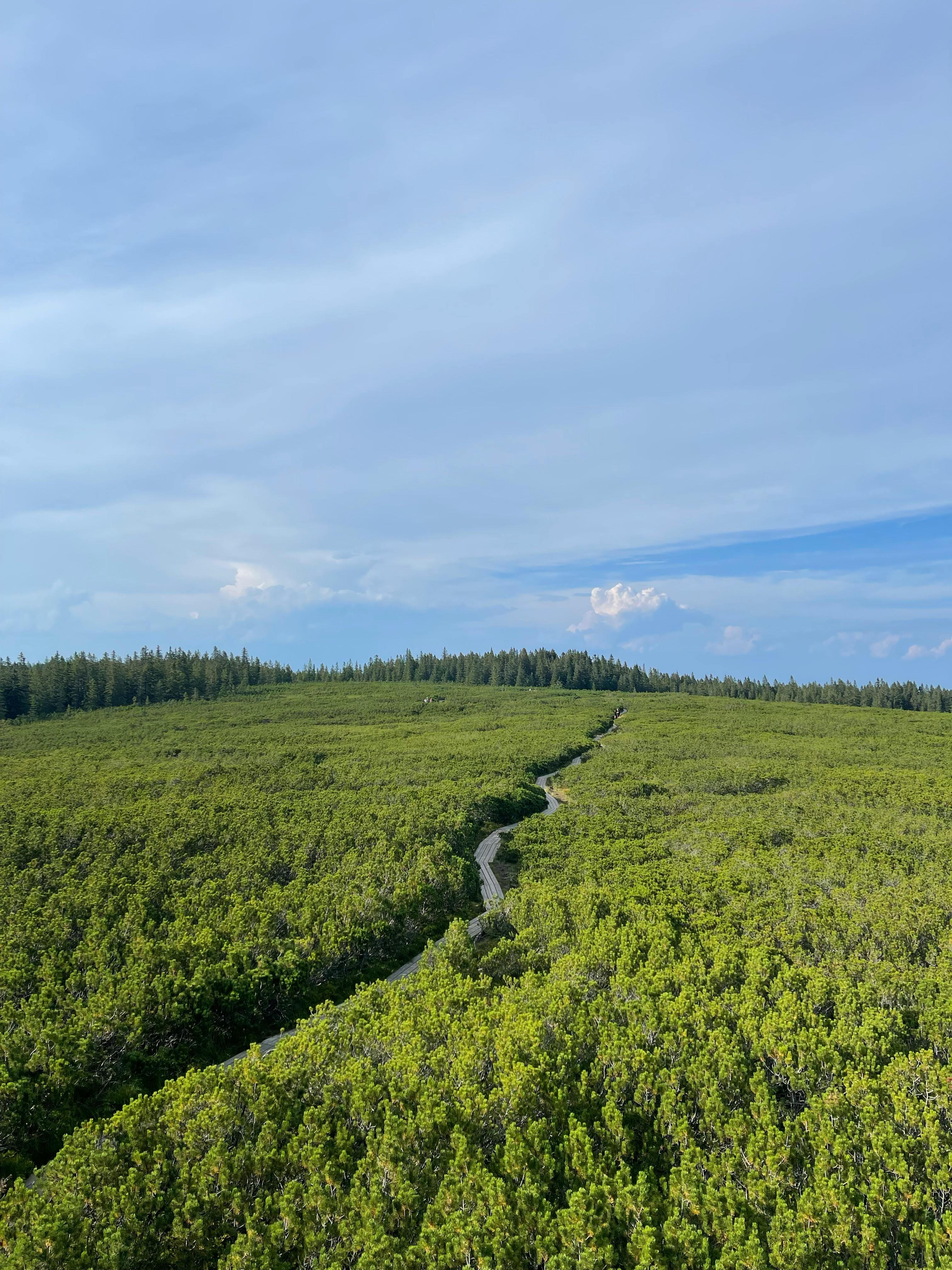 Green Fields in Countryside · Free Stock Photo