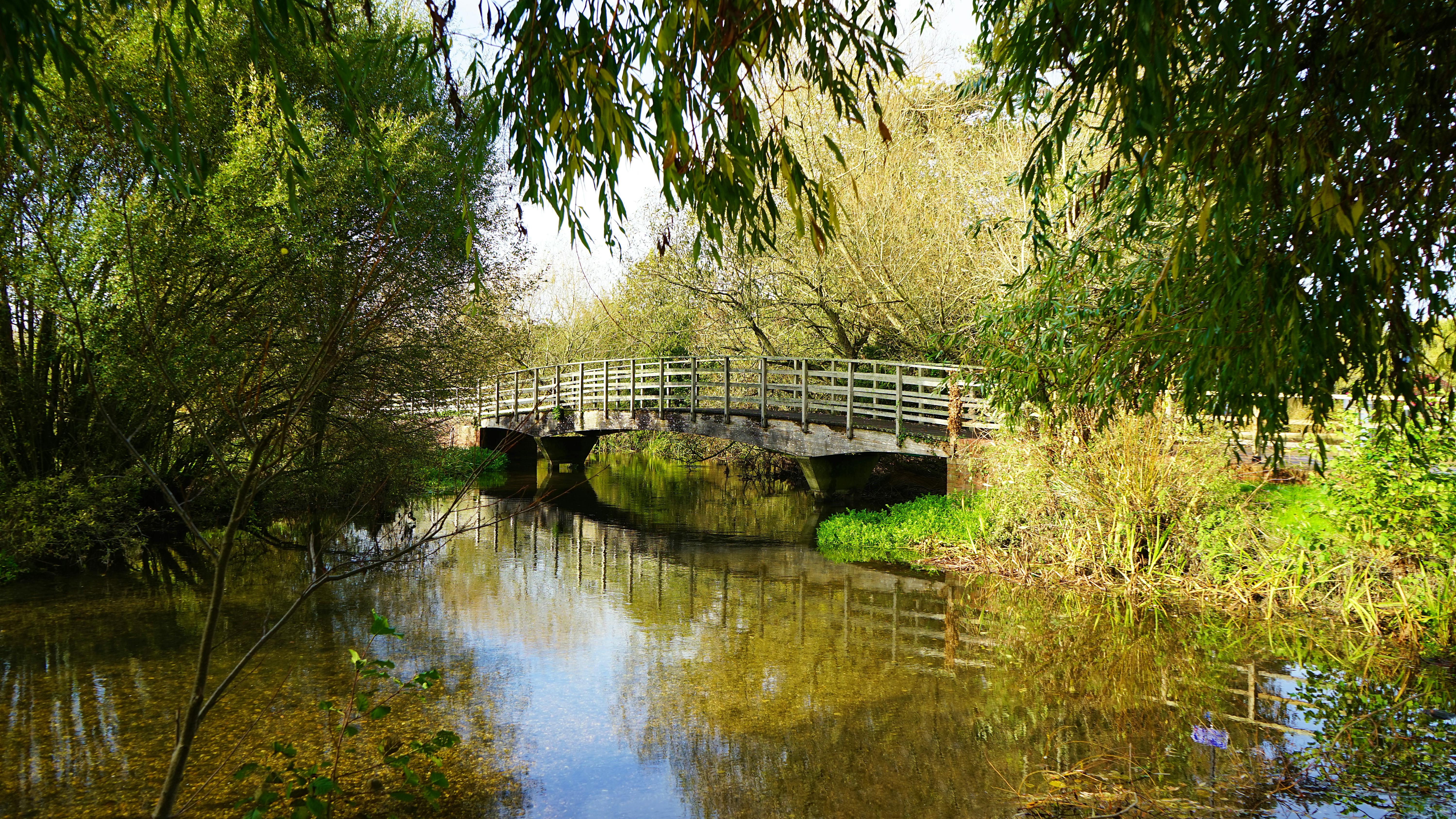 Footbridge Over a River in the Countryside · Free Stock Photo