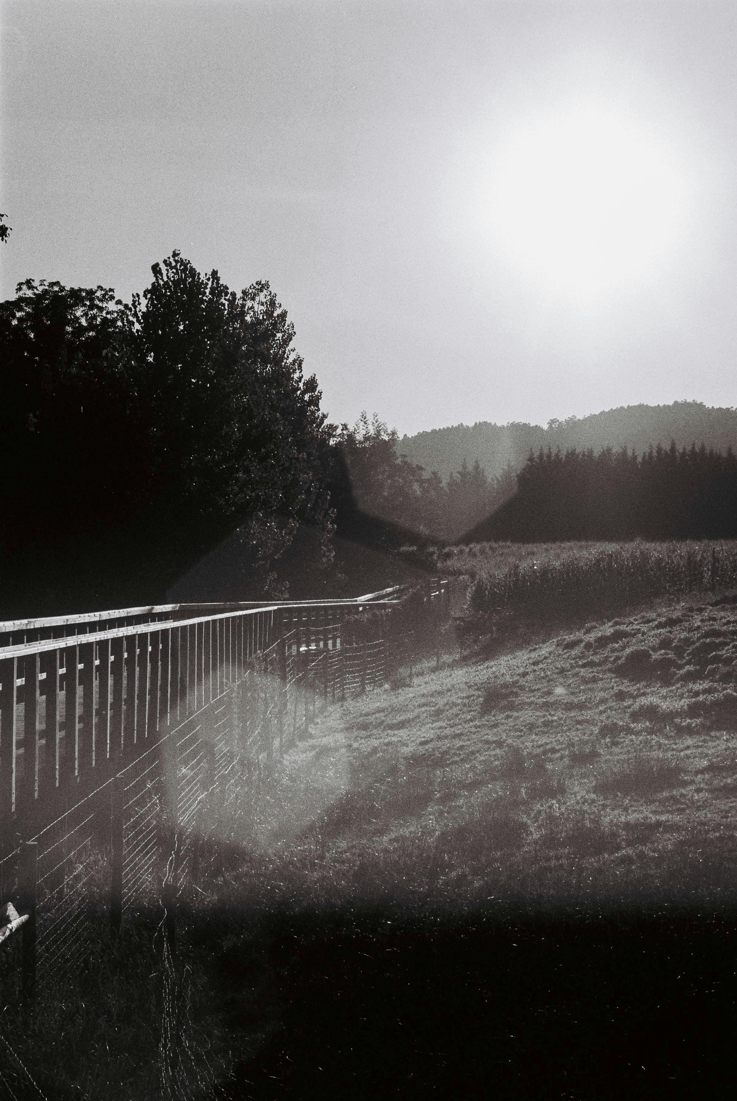 Csm Photos, Download The BEST Free Csm Stock Photos & HD Images