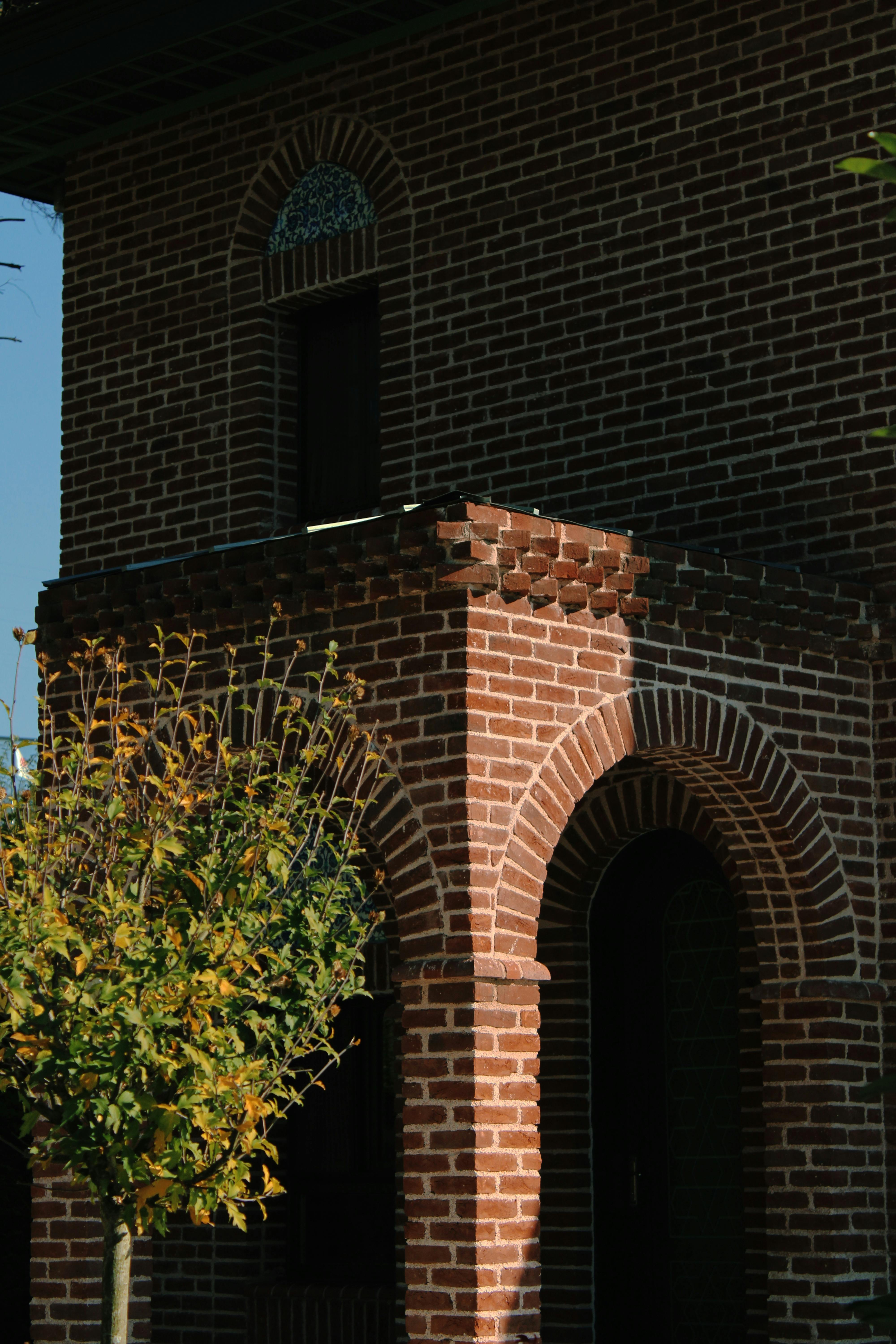 Brown Brick Building With Green Tree · Free Stock Photo