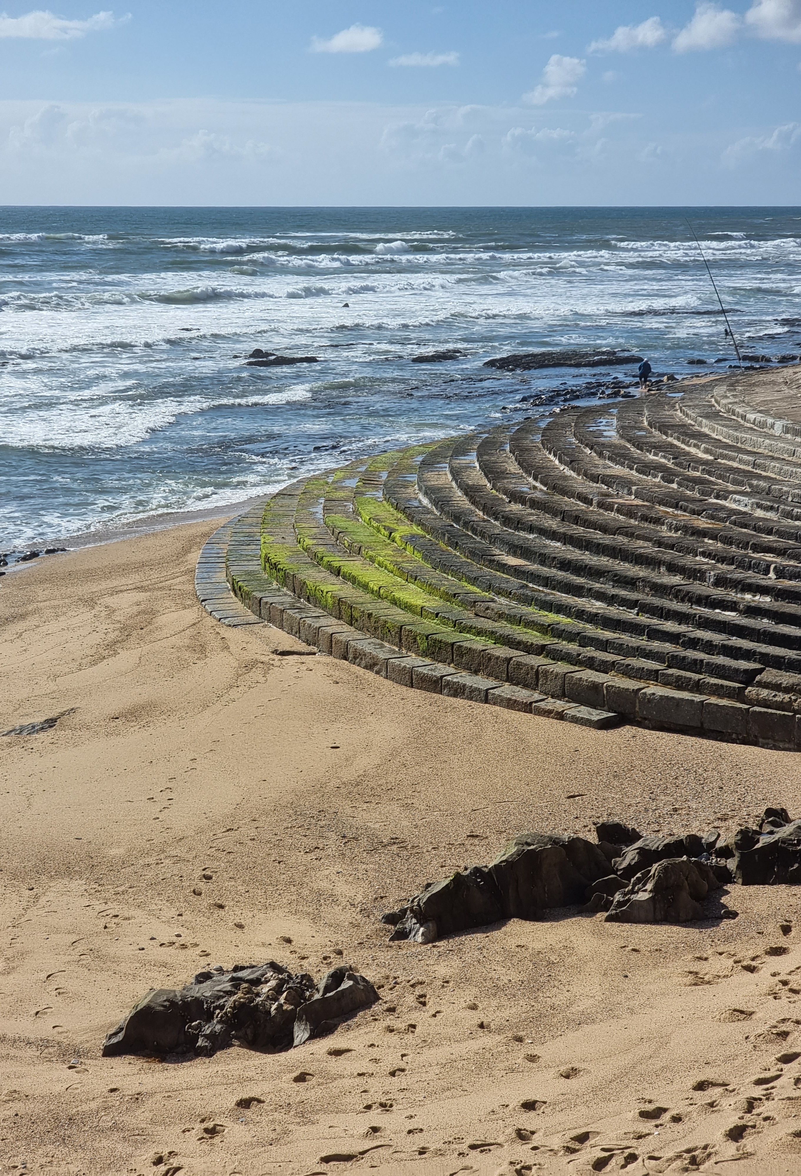 Green Grass on the Beach · Free Stock Photo
