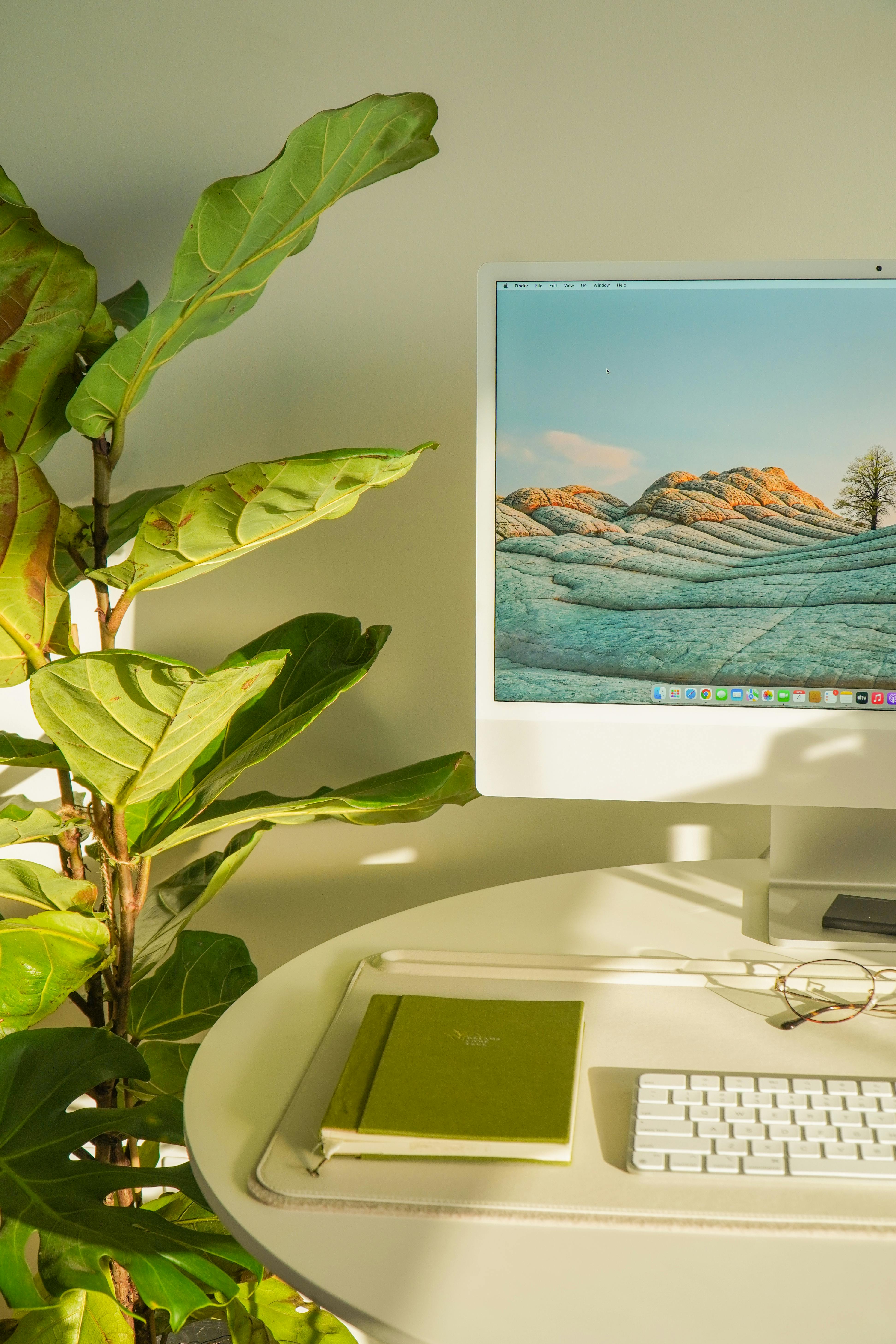 A Green Plant Beside a White Computer with Notebook · Free Stock Photo