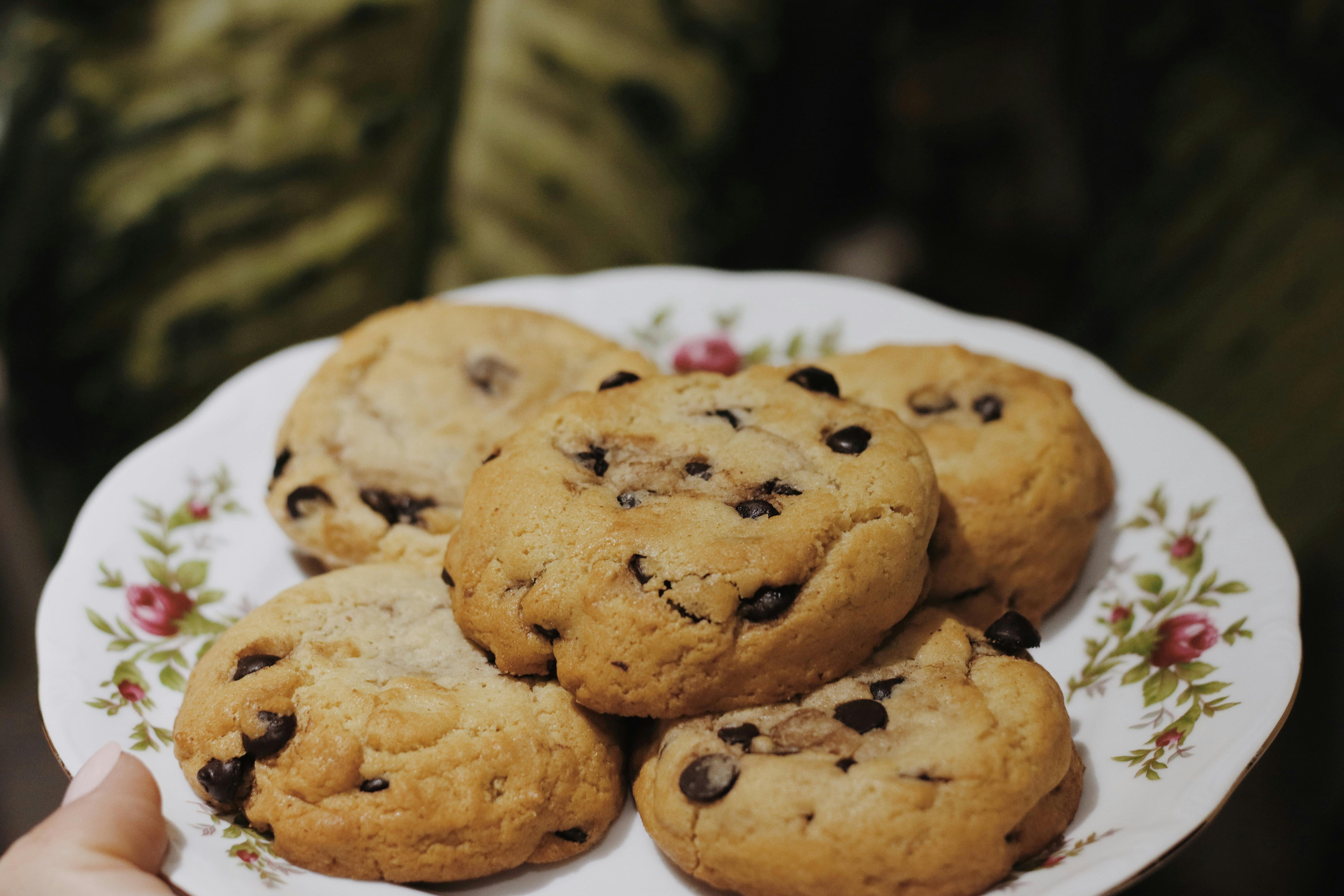 Hands Holding Cookies · Free Stock Photo
