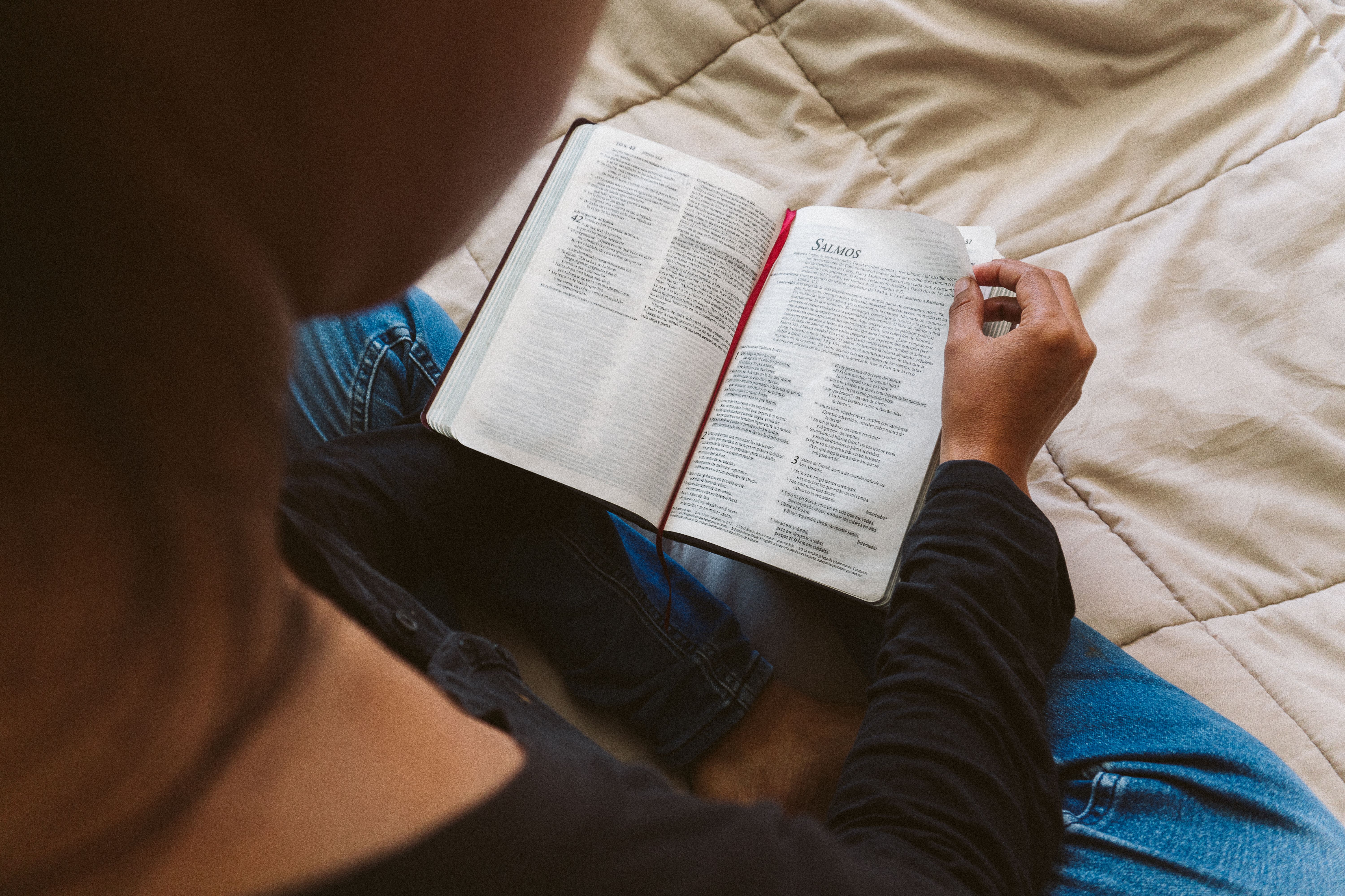 A Person Reading a Book · Free Stock Photo