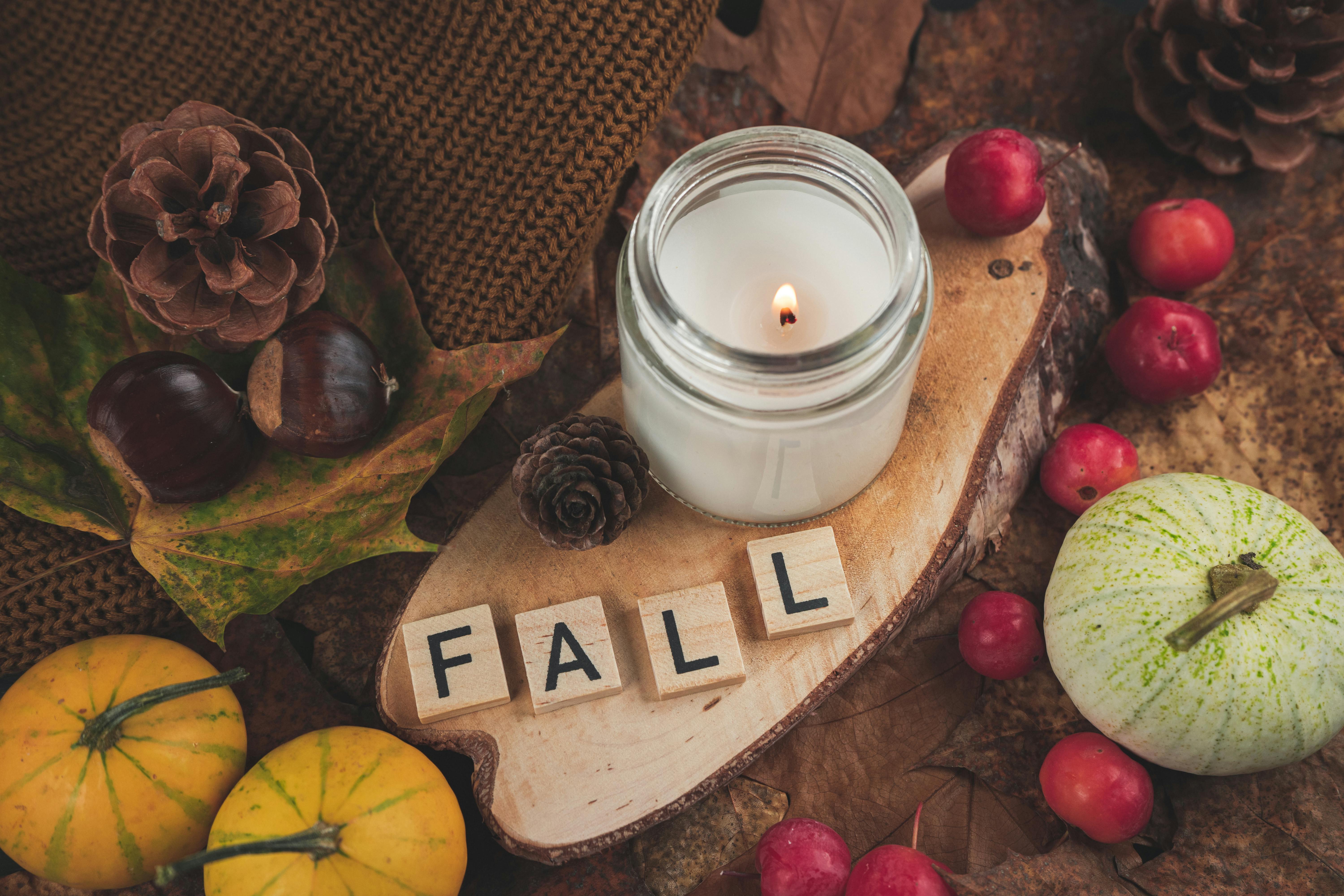 Fall Harvest Photos, Download The BEST Free Fall Harvest Stock Photos ...