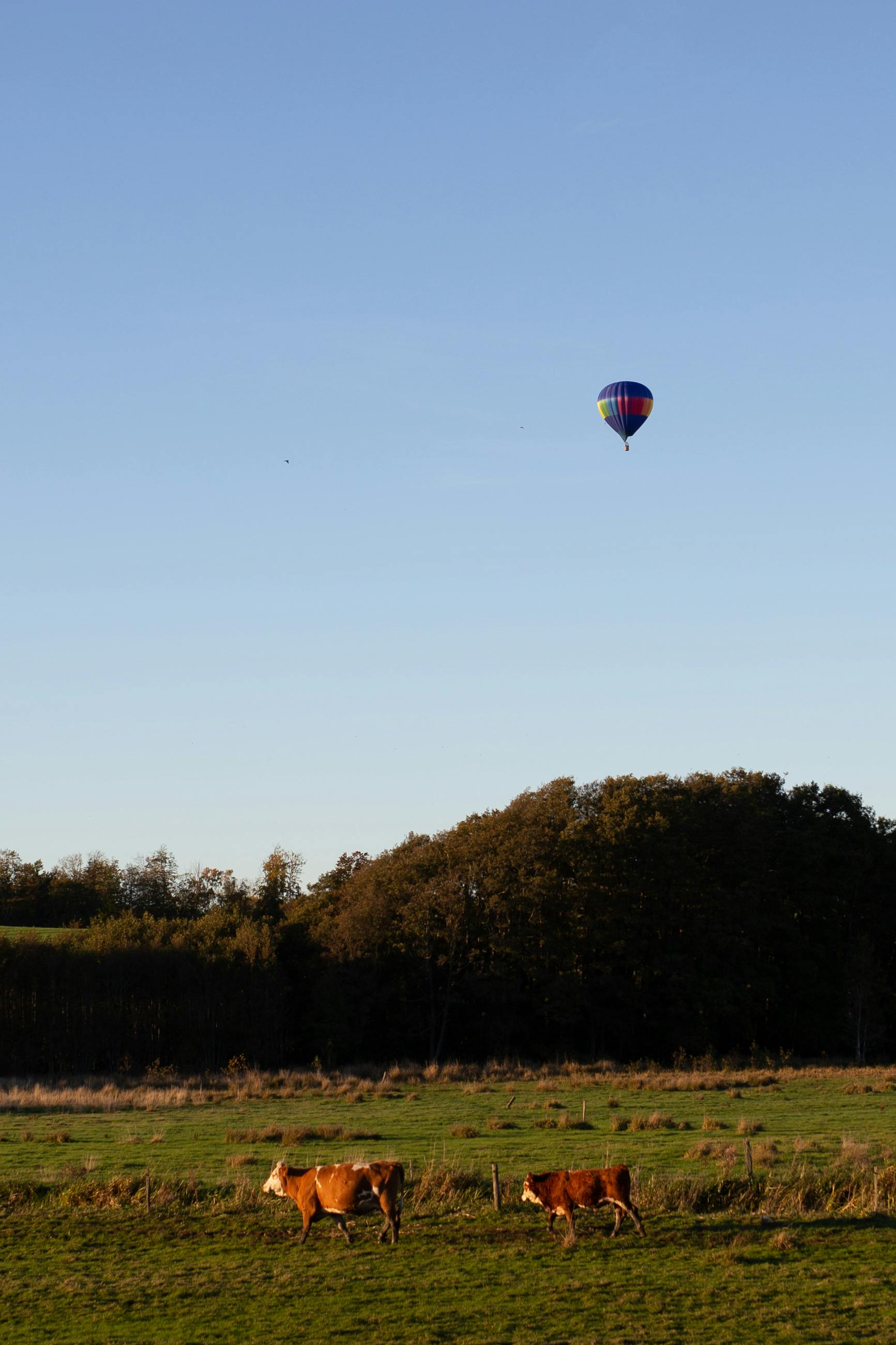 Odder Thankview Photos, Download The BEST Free Odder Thankview Stock Photos & HD Images