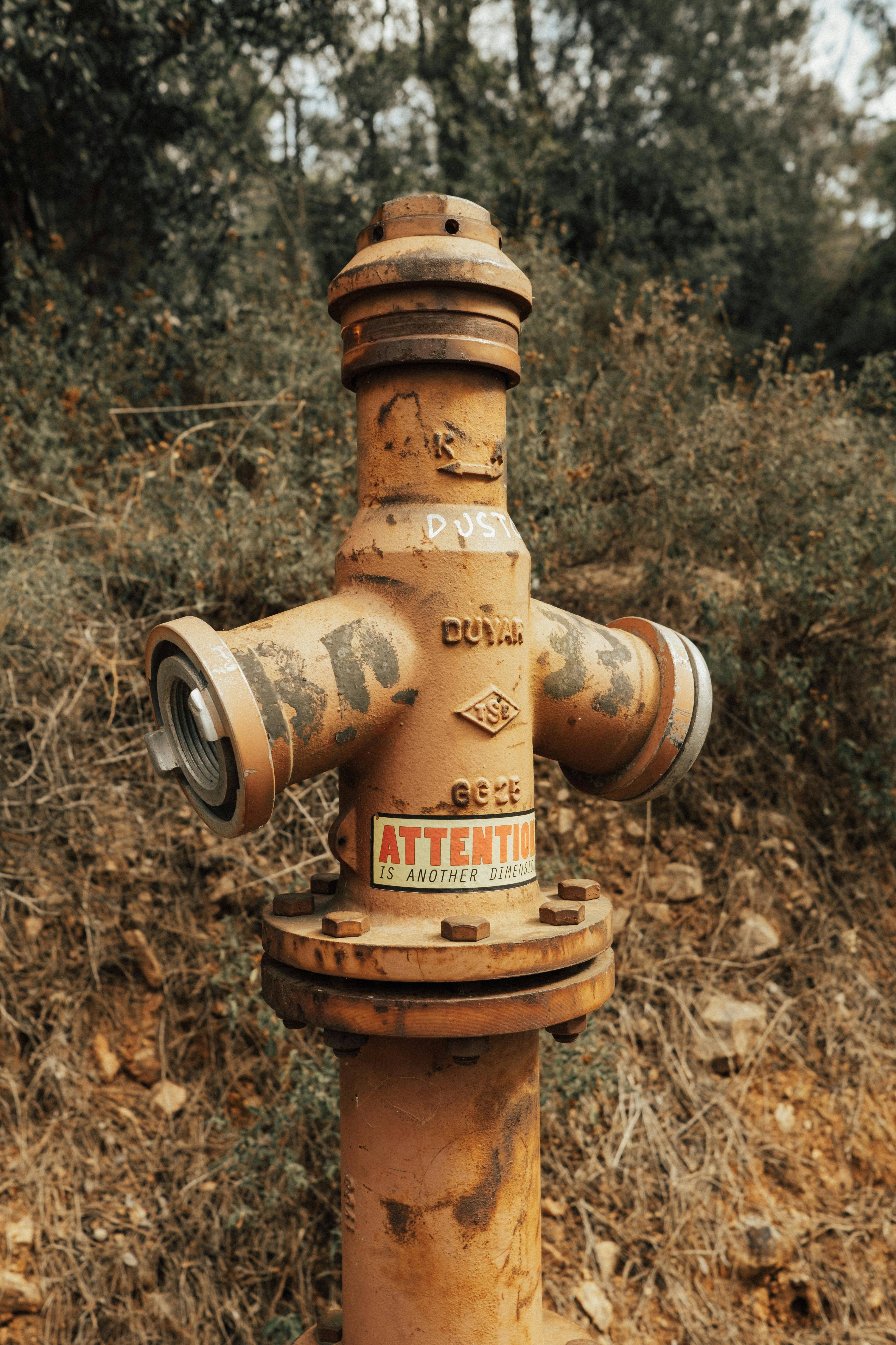 Steel Fire Hydrant · Free Stock Photo