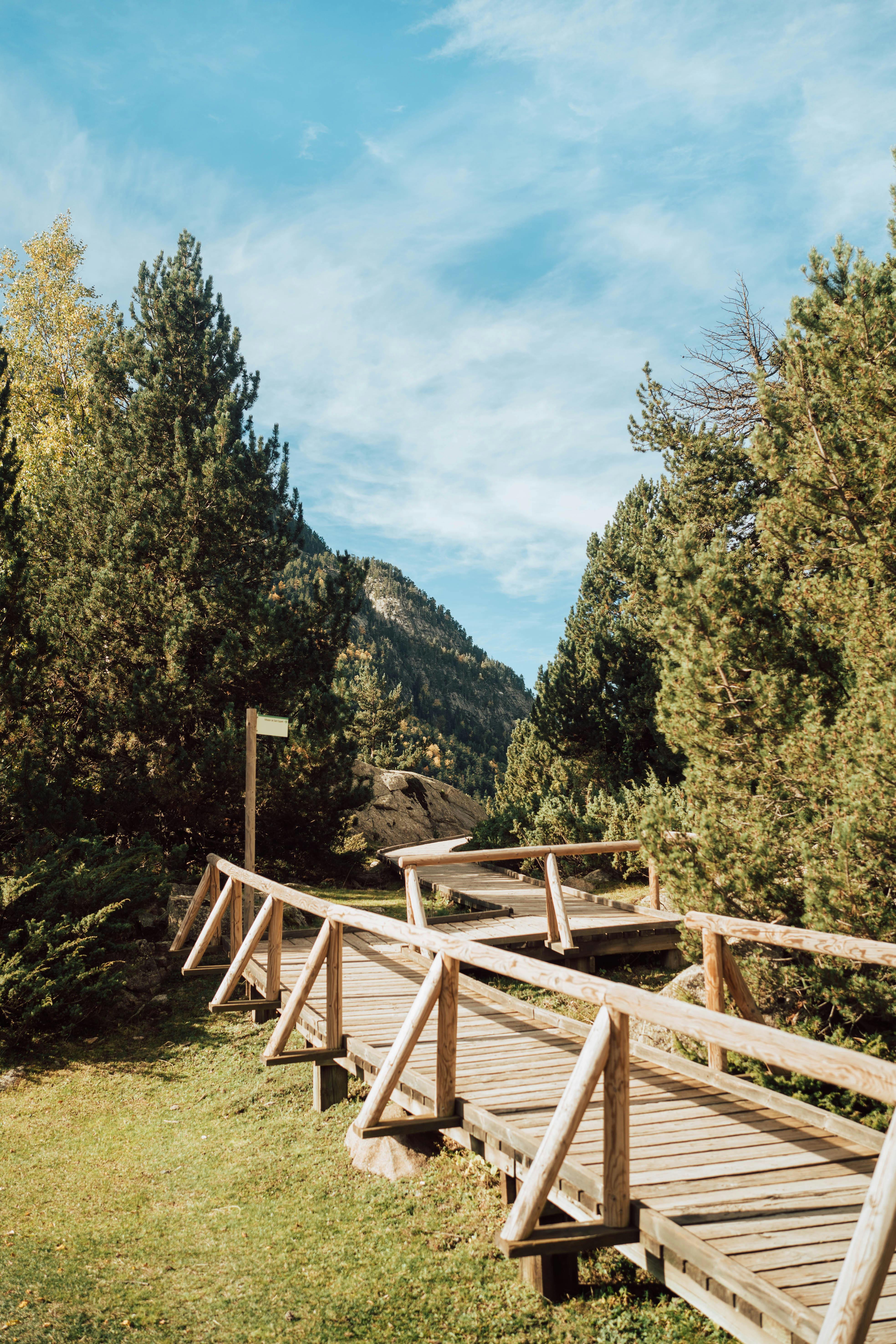 Black Pathway Between Green Trees Towards Body of Water during Daytime ...