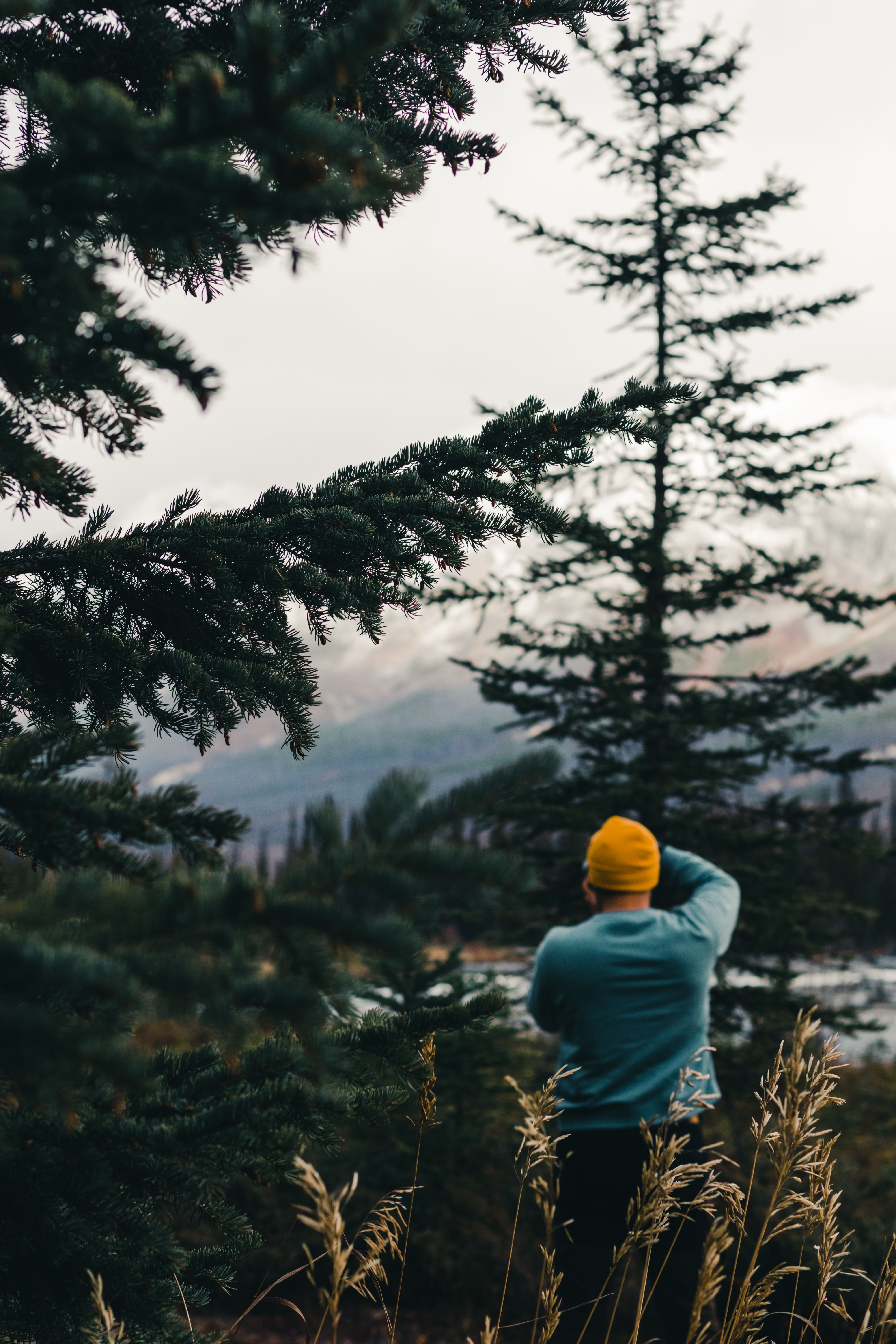 Man Standing Near Mountain under Starry Sky · Free Stock Photo
