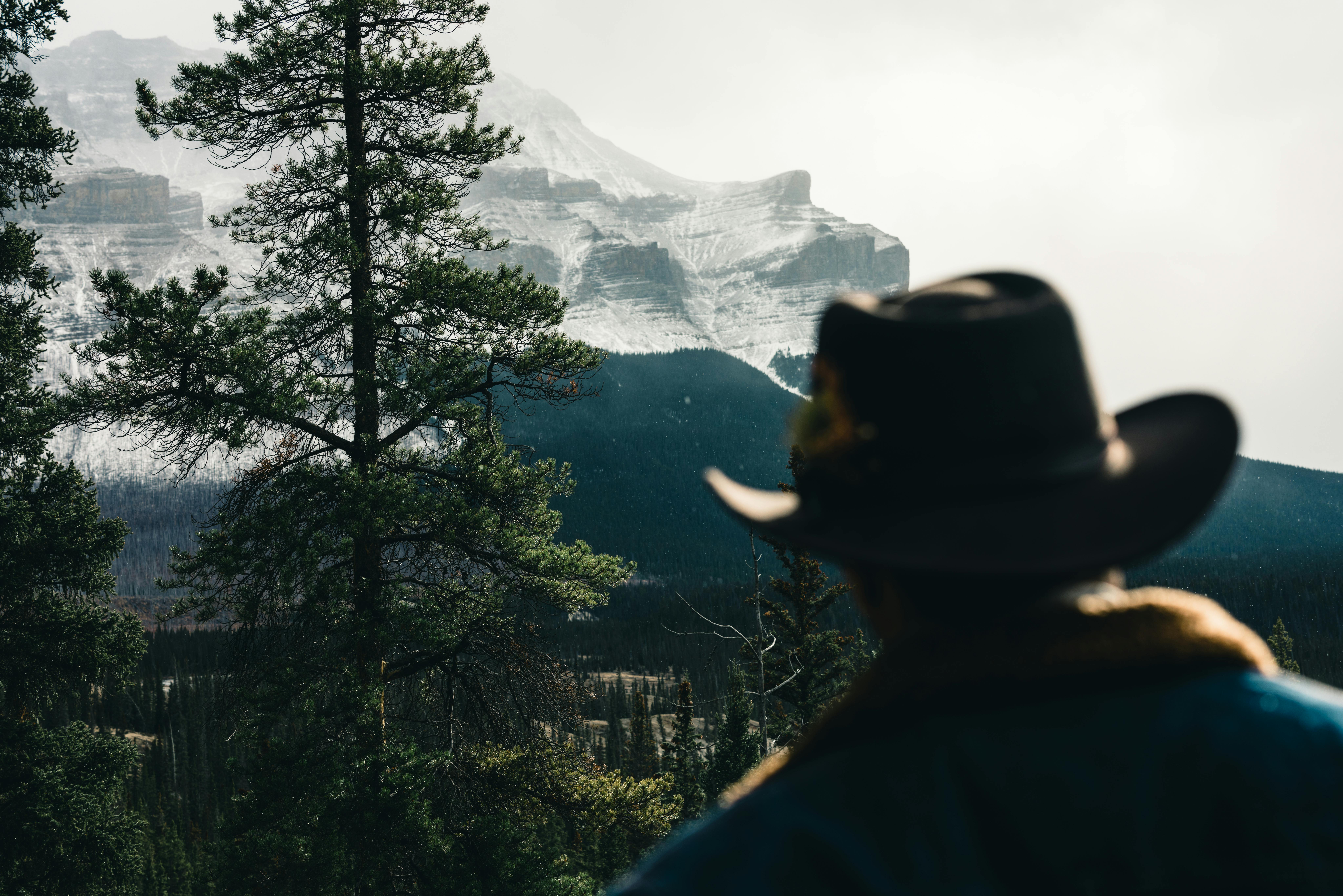 Back View of a Man Wearing a Cowboy Hat in a Mountain Landscape · Free ...