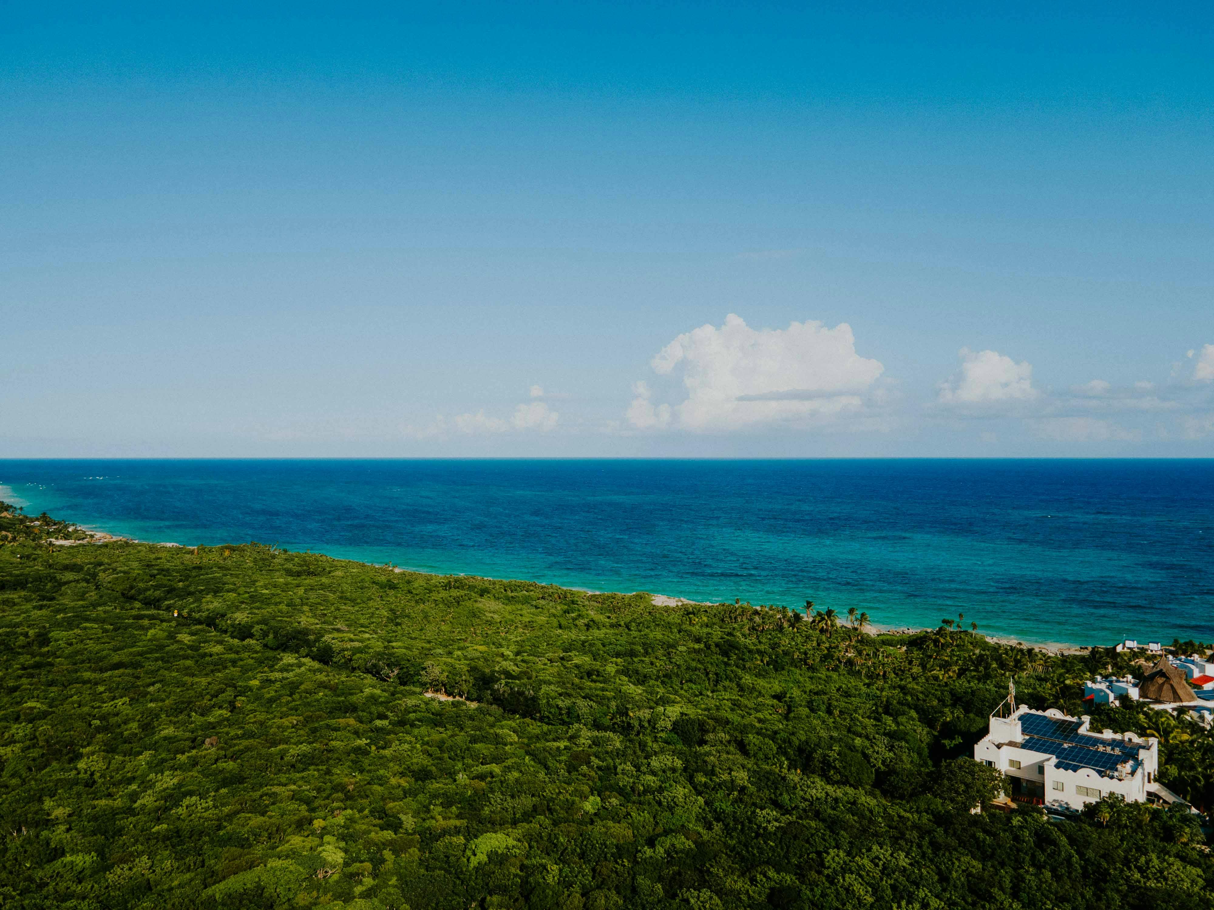 Lush Green Forest along Blue Sea · Free Stock Photo