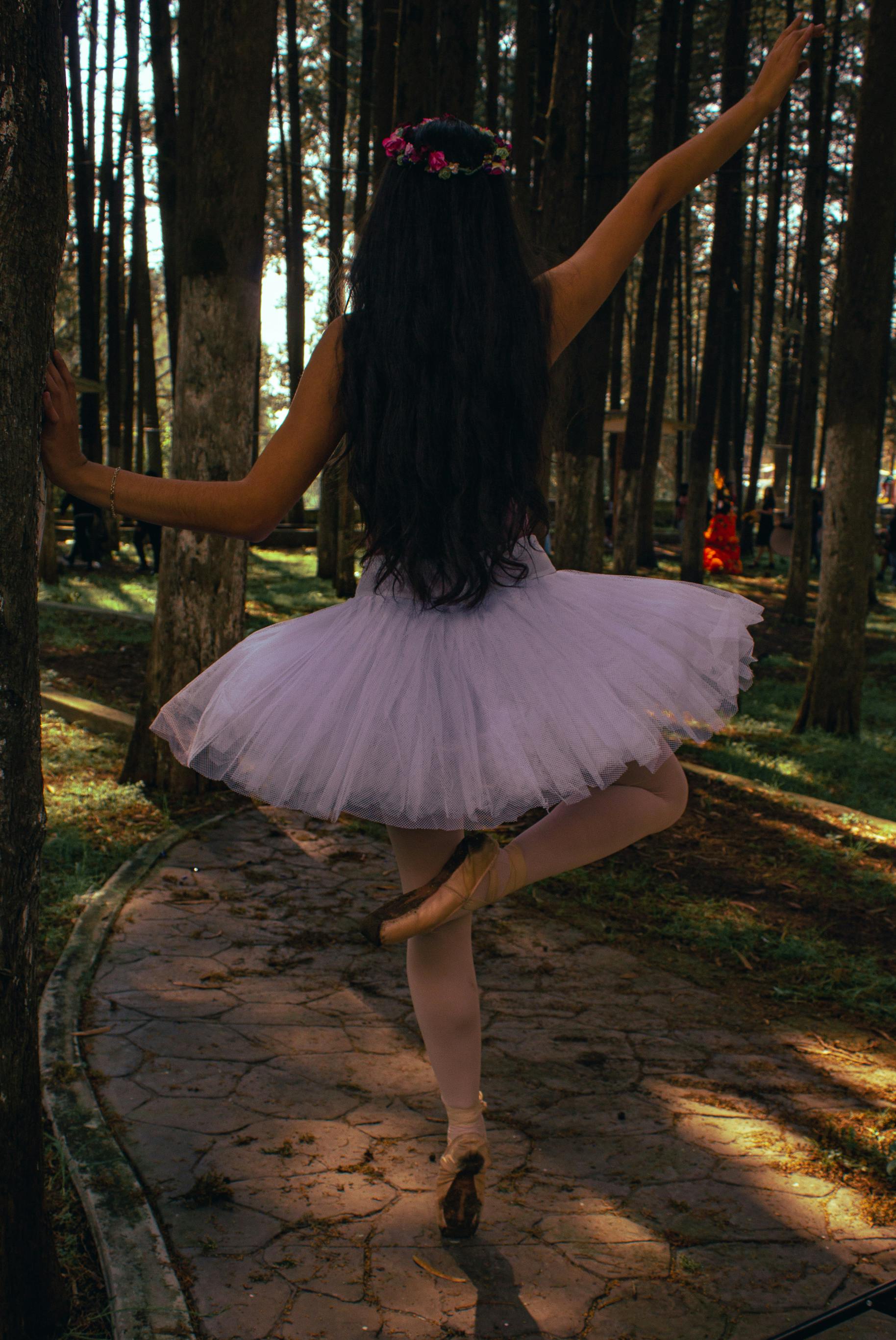 Back View of a Ballerina in the Forest · Free Stock Photo