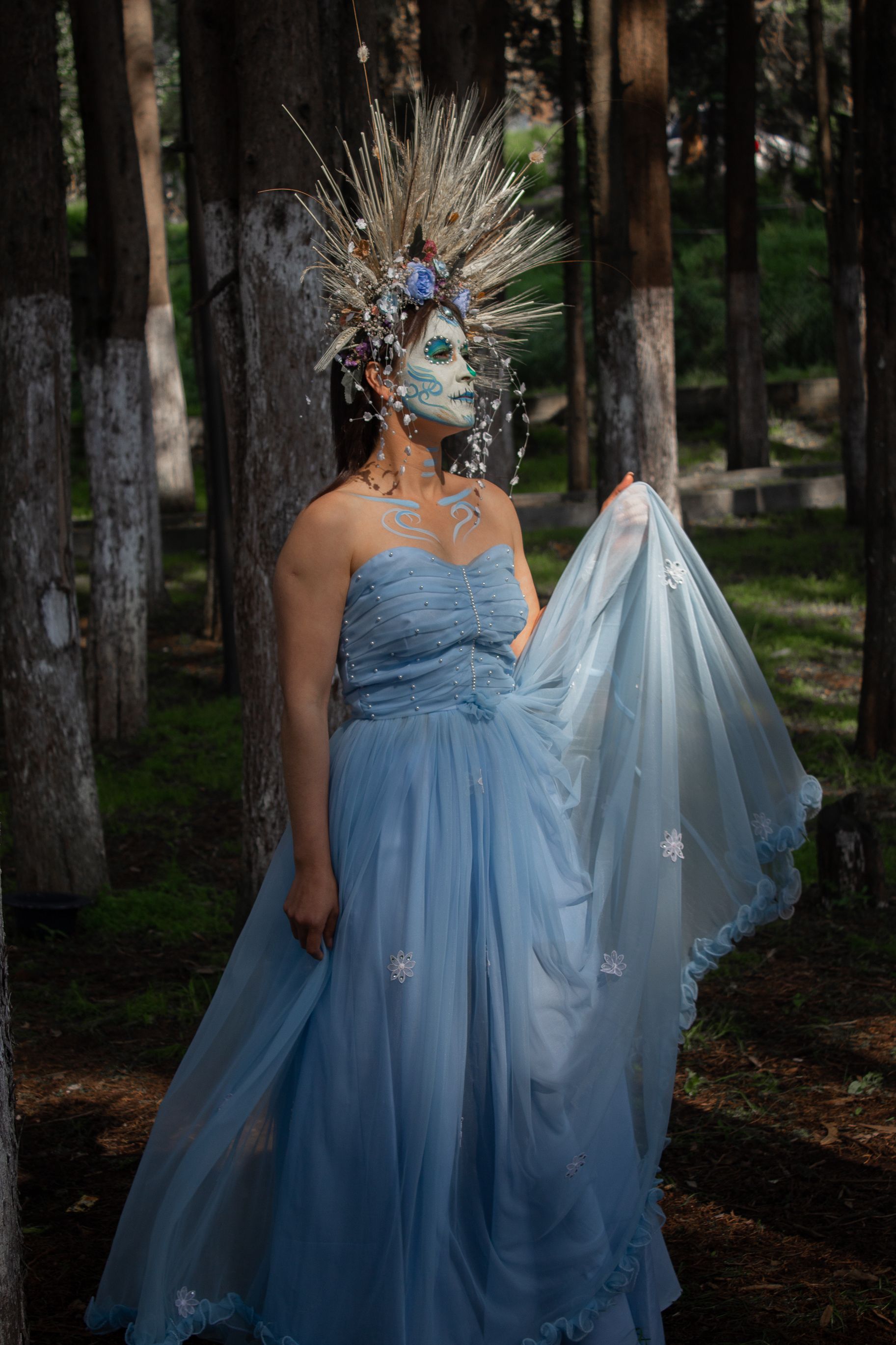 Doongri Forest Festival Photos, Download The BEST Free Doongri Forest ...