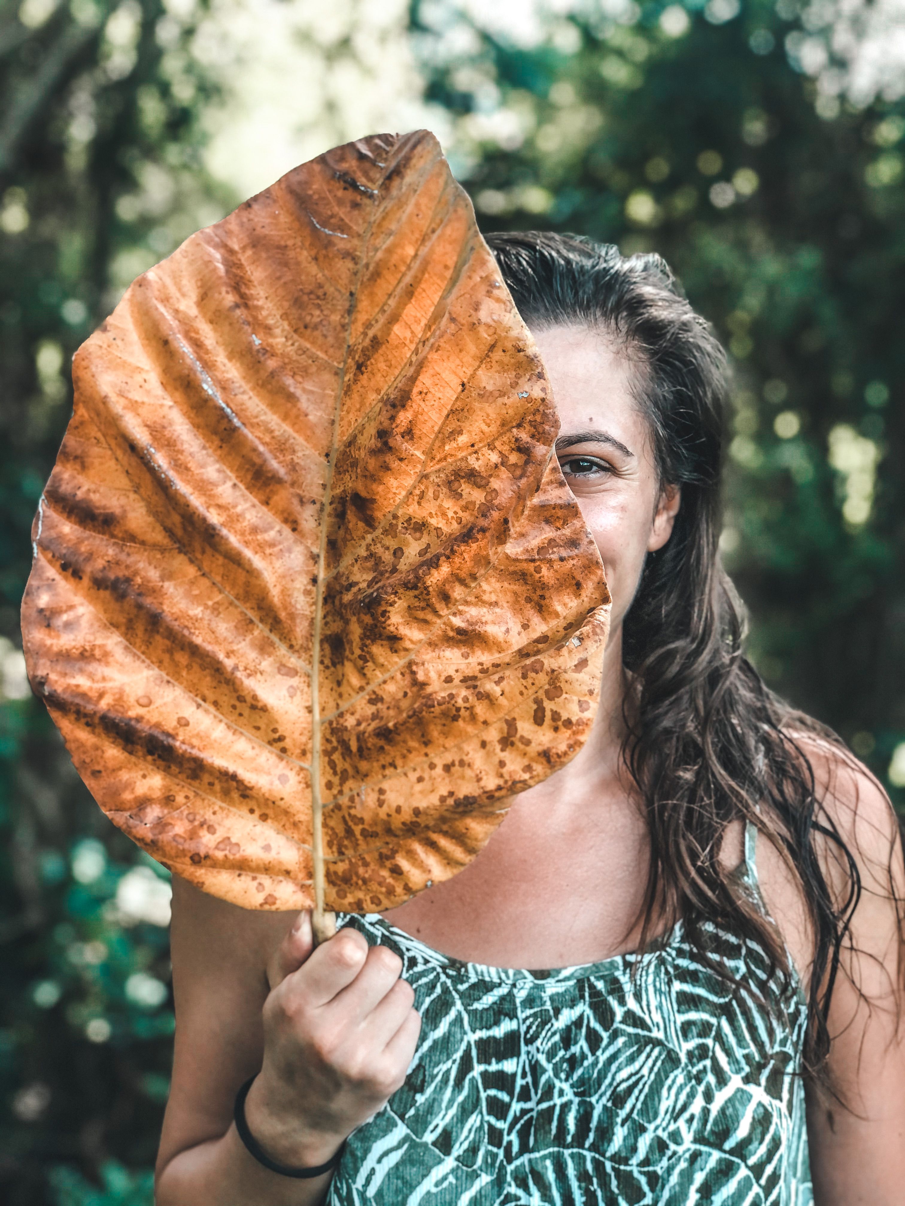 A Woman Covering Her Face With a Brown Leaf · Free Stock Photo