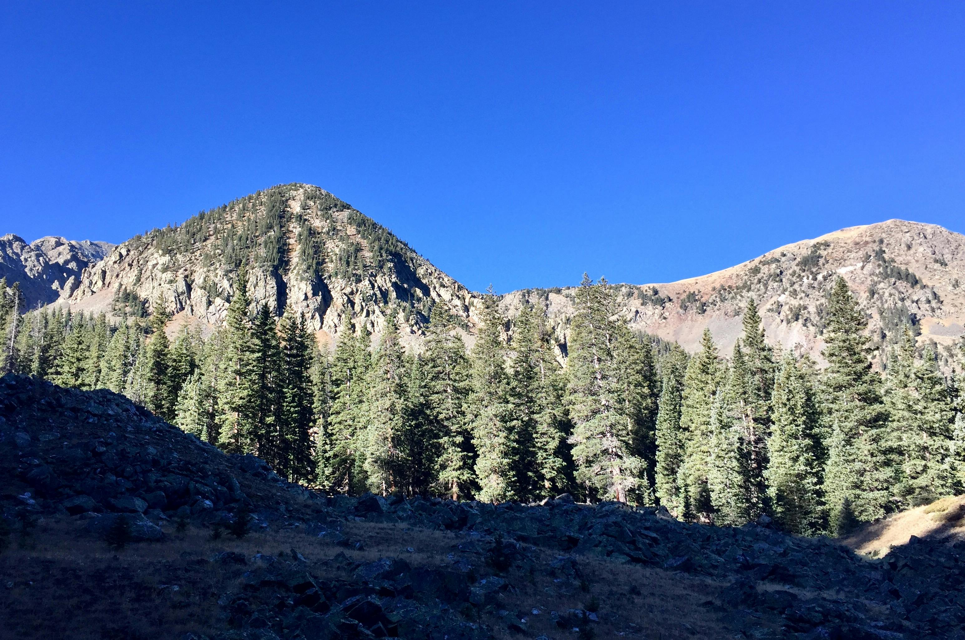 Green Pine Trees on Mountain Under Blue Sky · Free Stock Photo
