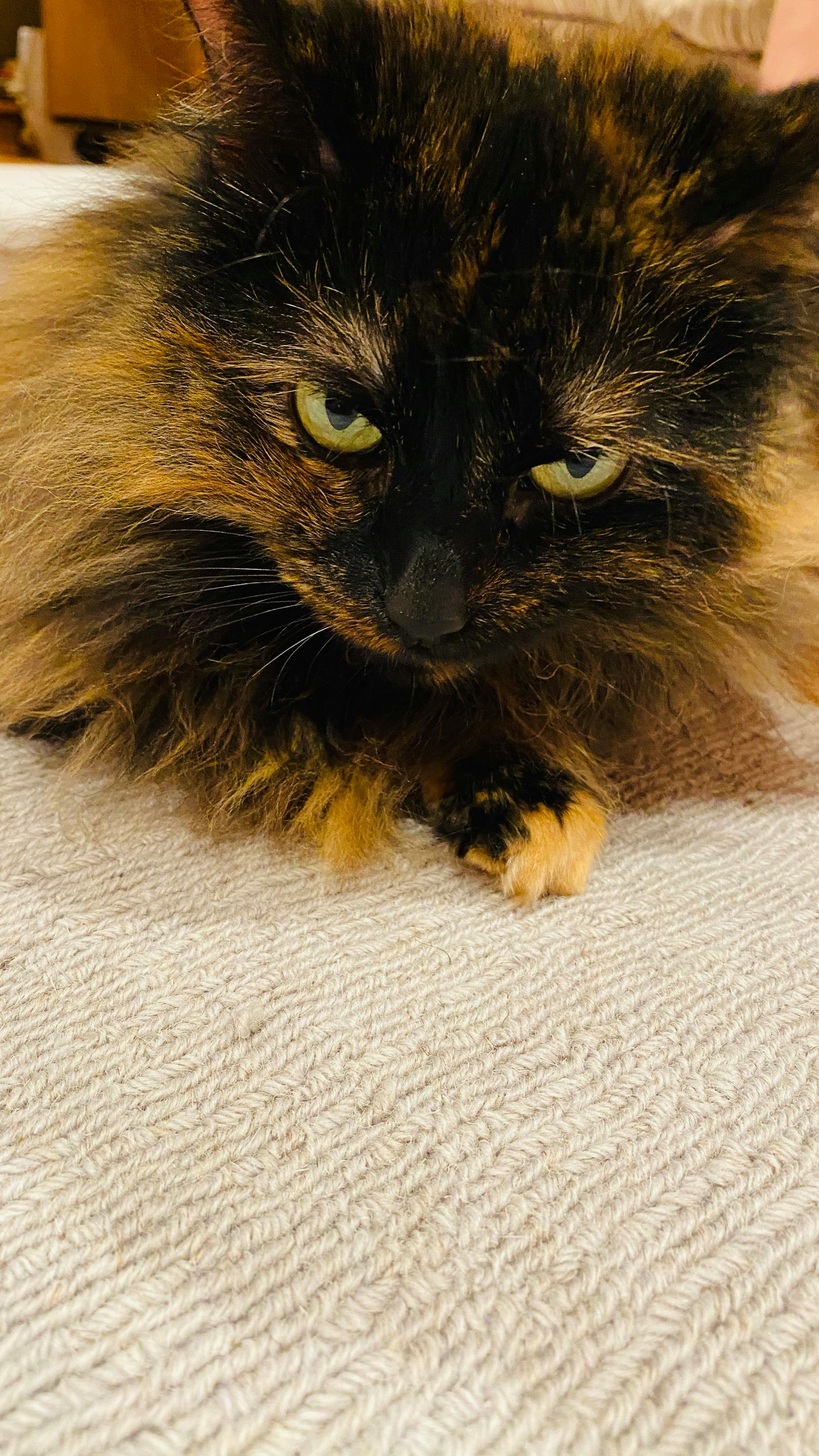 Akshay Sawant Photography