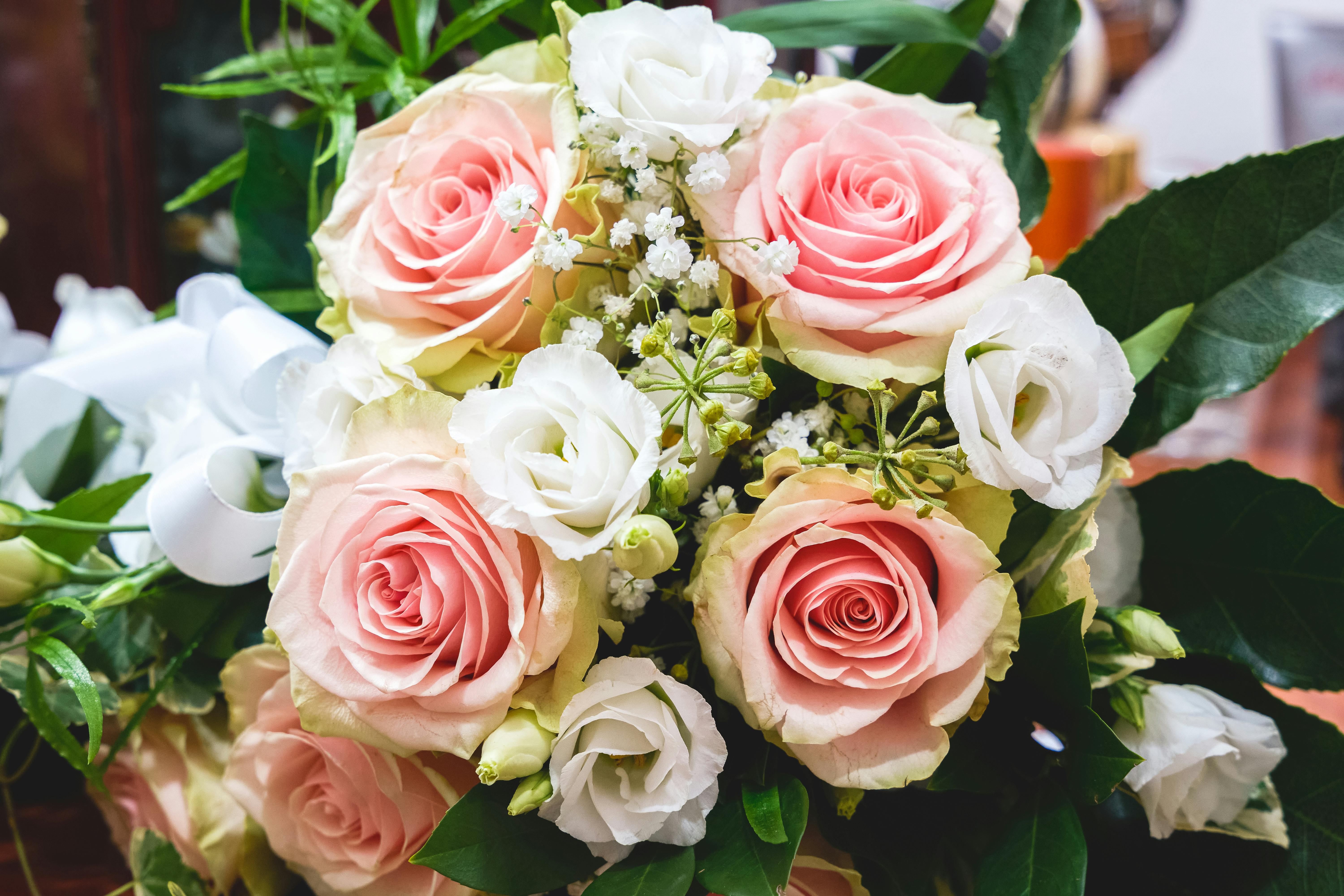 A Bouquet of Roses · Free Stock Photo