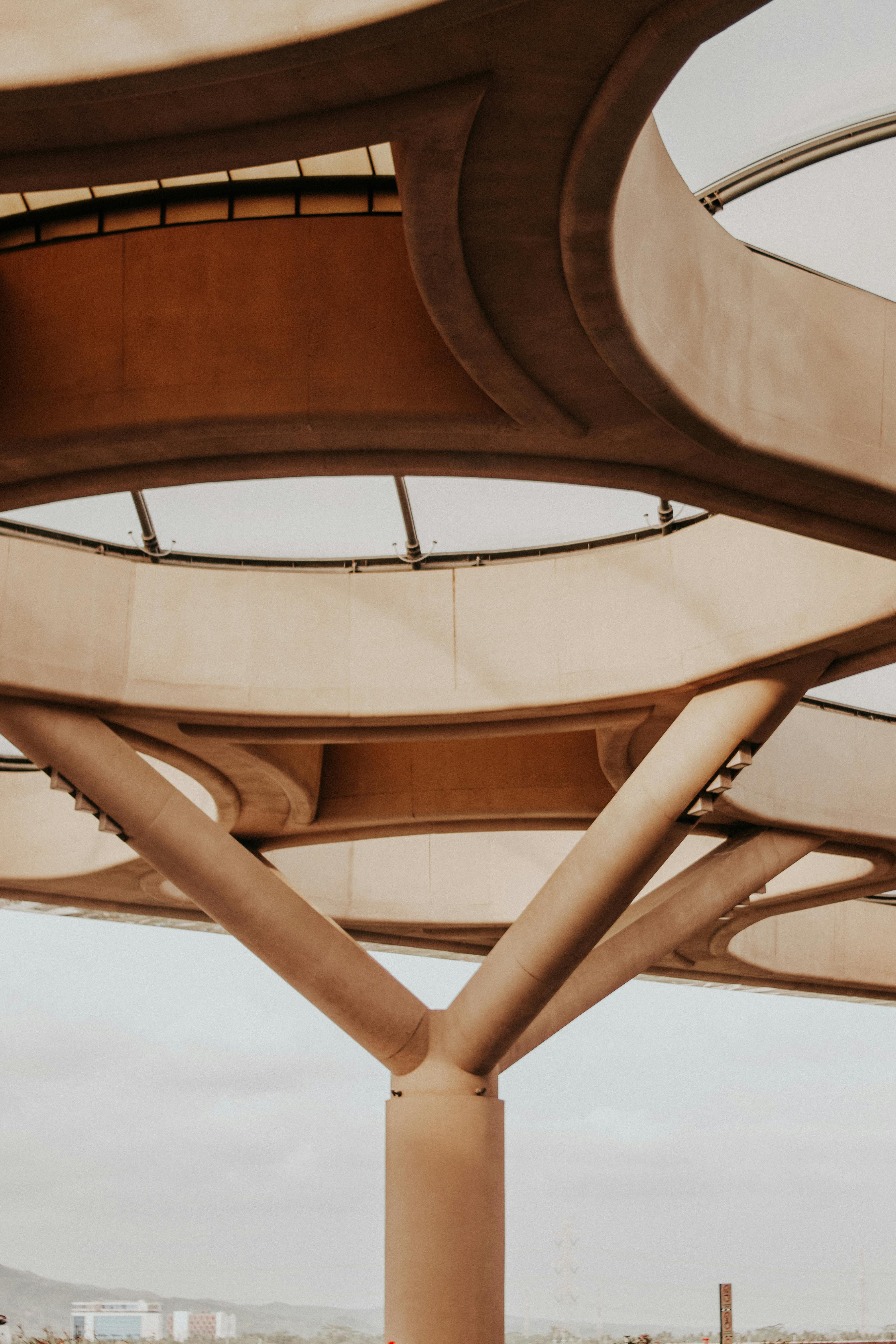 Structural Adaptations Photos, Download The BEST Free Structural ...