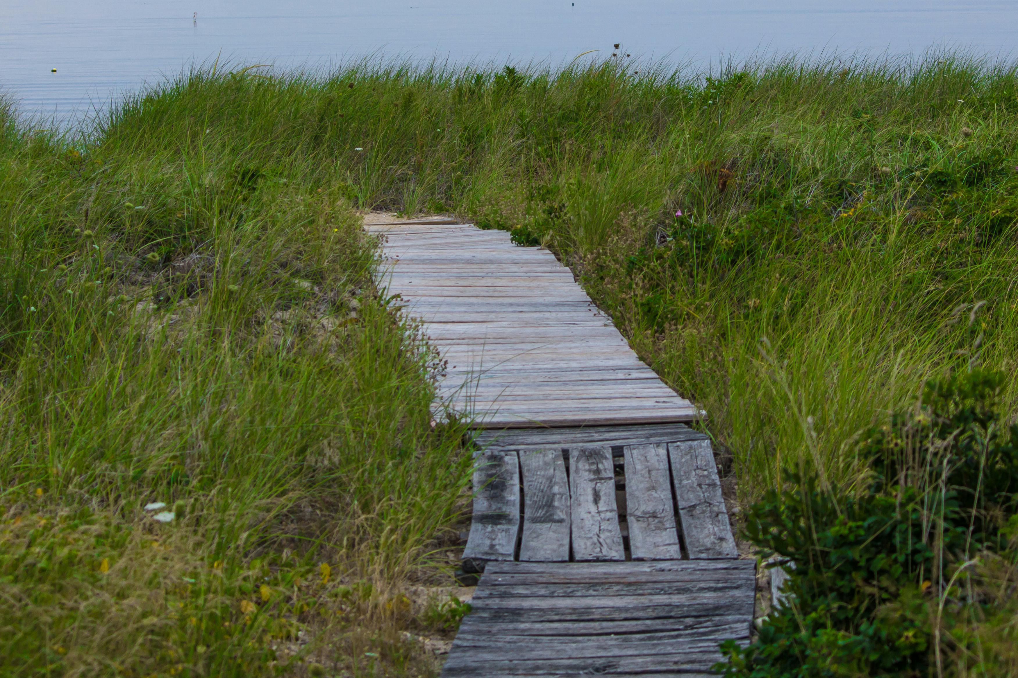 Free stock photo from Michael · Pexels
