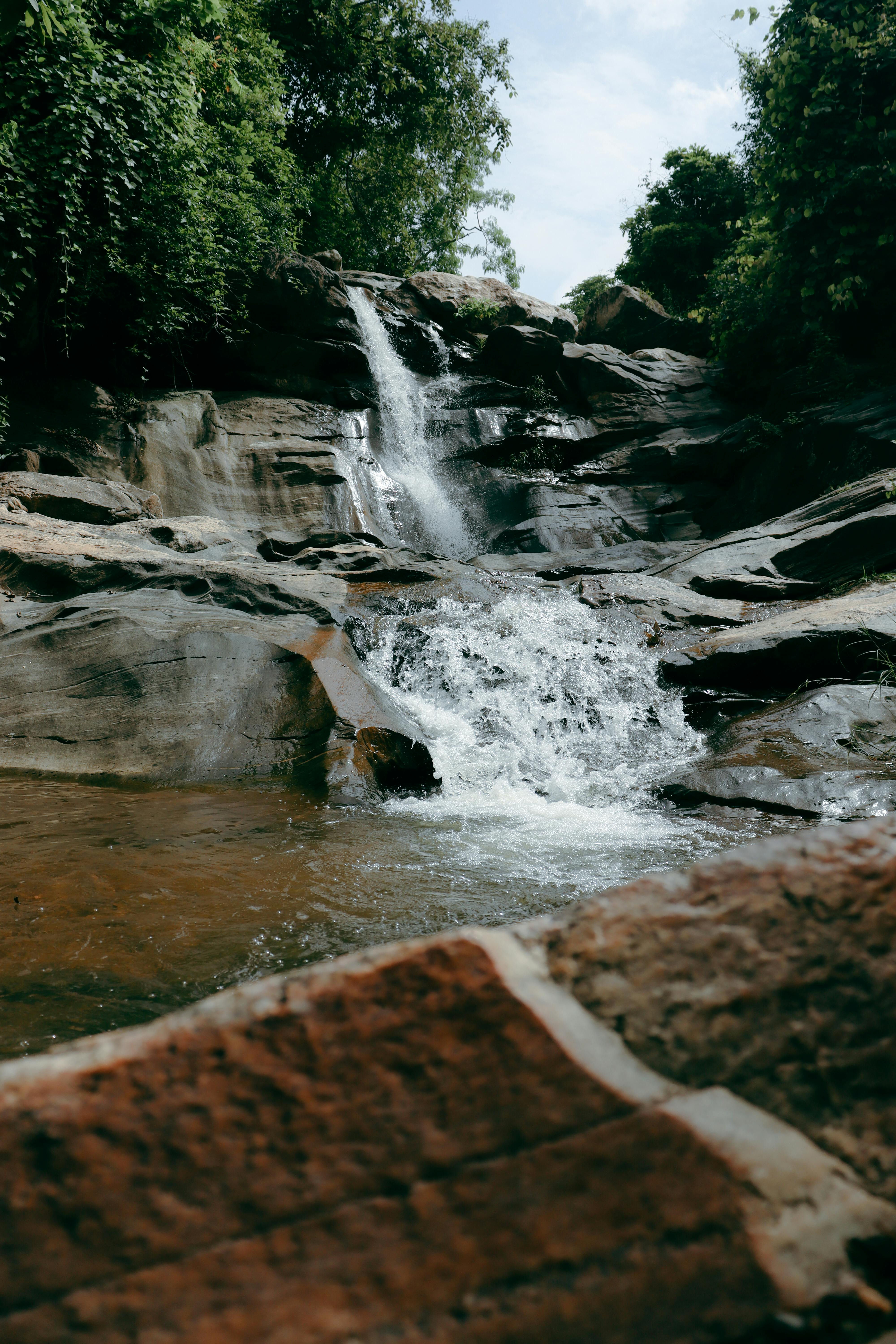Thurga Falls Surrounded by Green Tree · Free Stock Photo