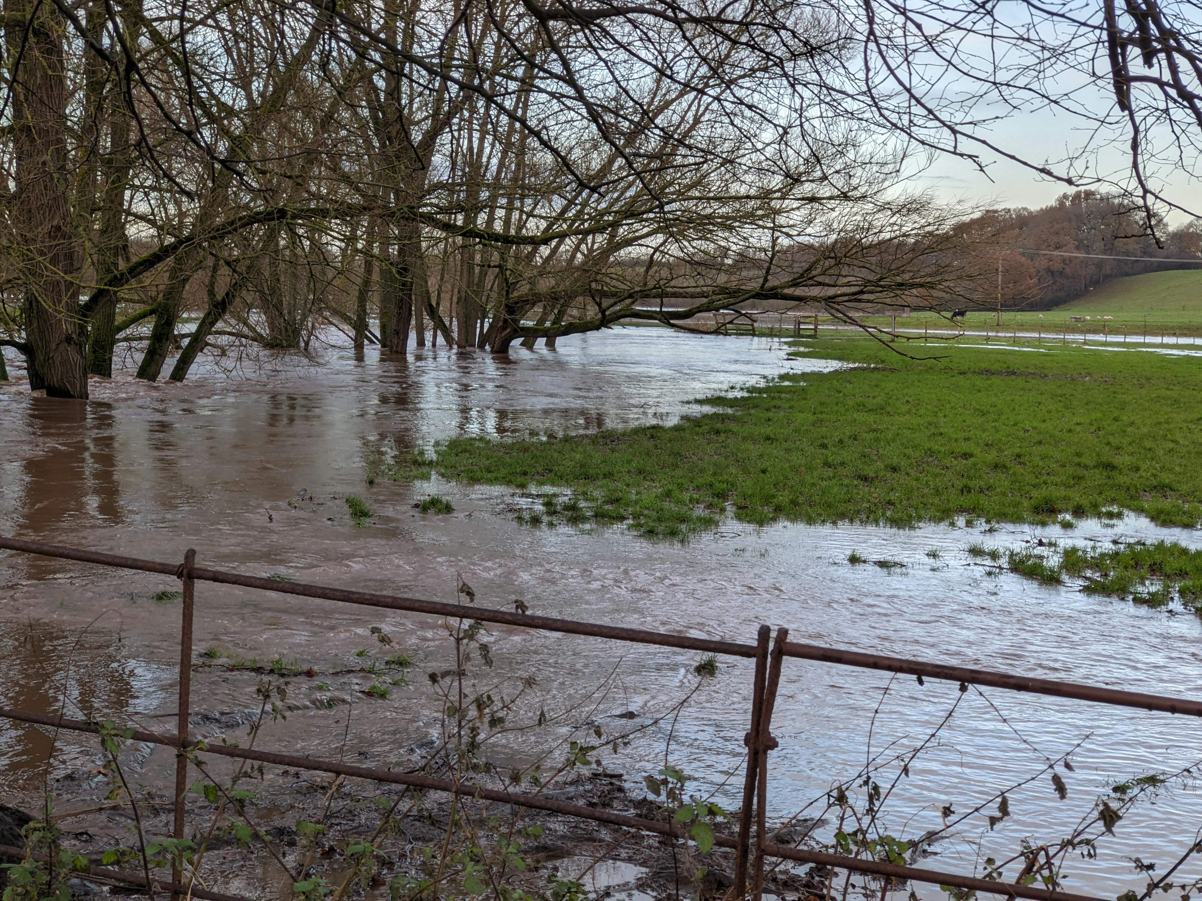 Flooding 9 Photos & Videos Collected by Eddy L