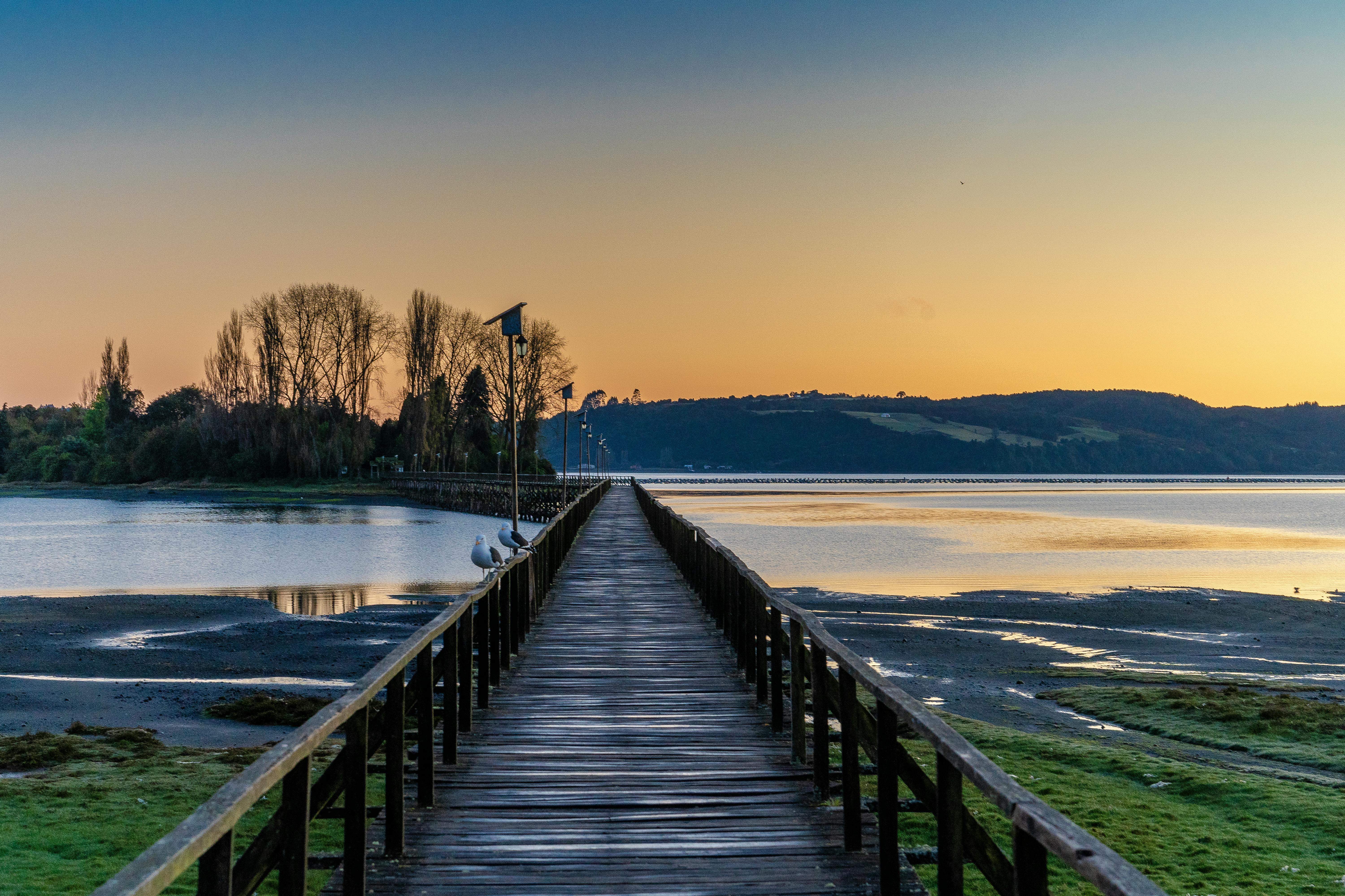 Wooden Dock on the Ocean during Sunset · Free Stock Photo