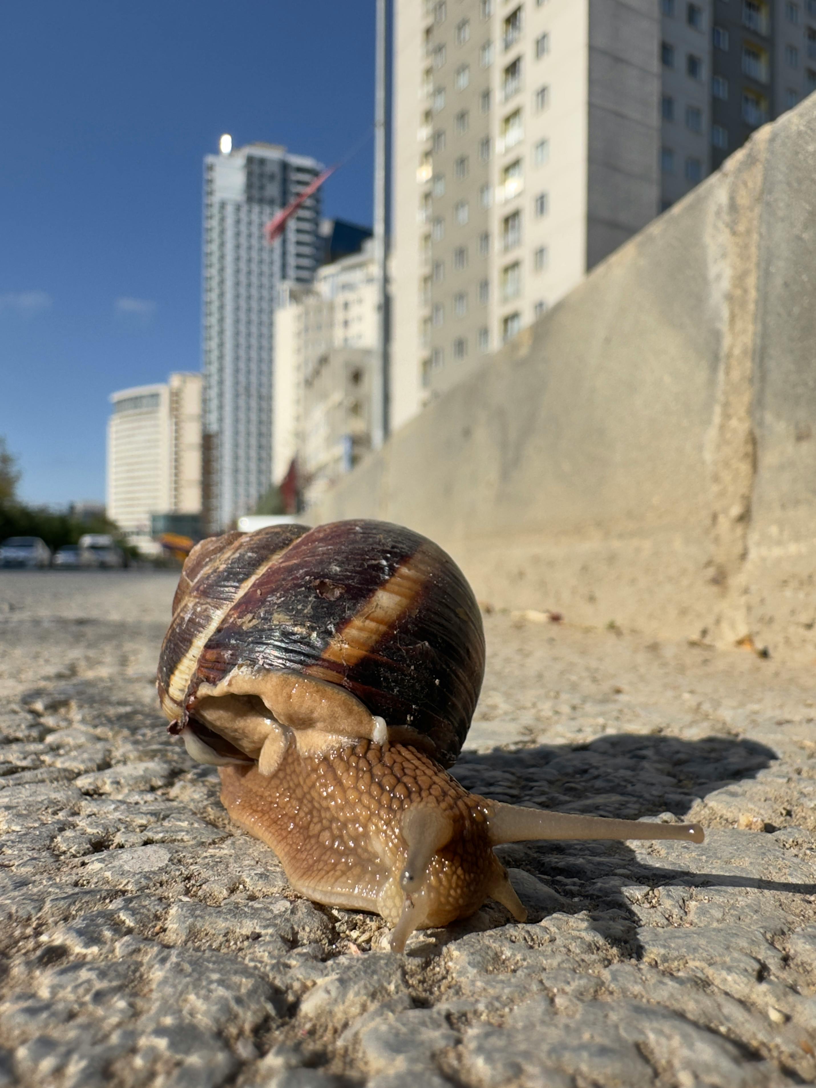 Sam Miri - Photography