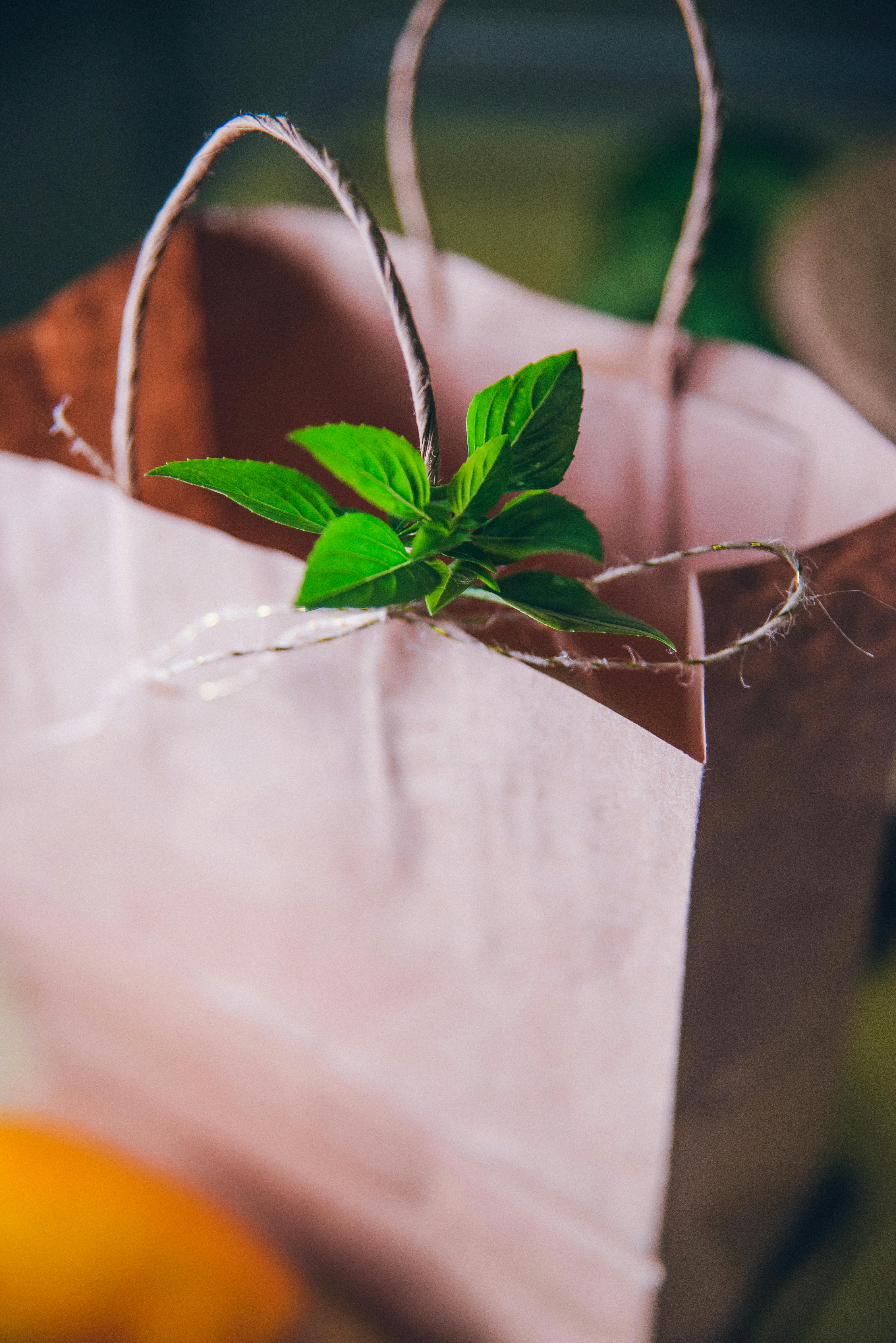 Tea Paper Bag Photos, Download The BEST Free Tea Paper Bag Stock Photos ...