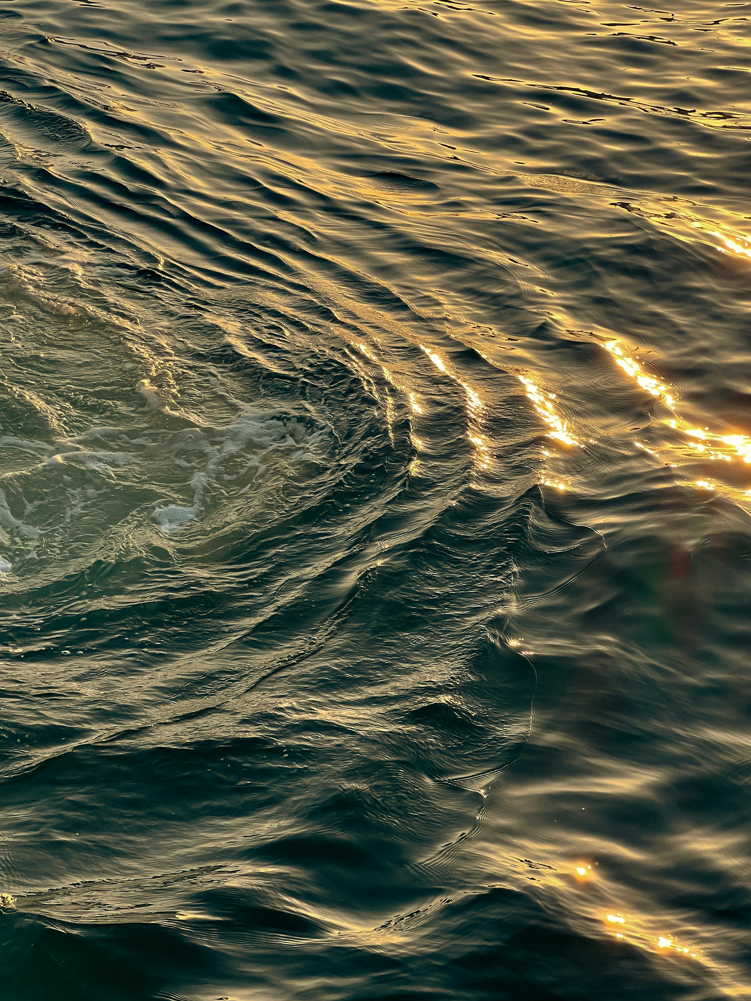 Surface of Water · Free Stock Photo