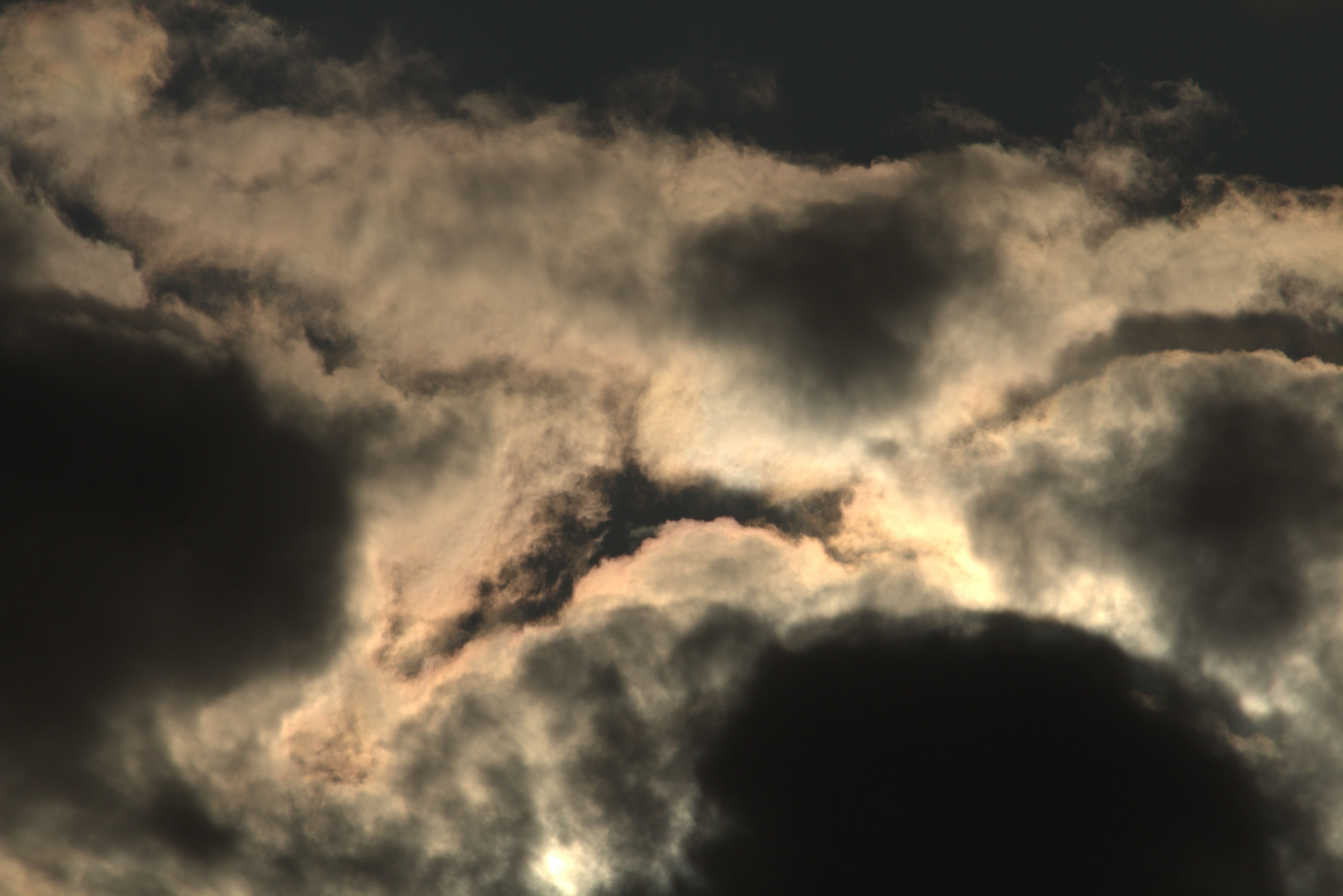 Thick White Clouds in the Sky · Free Stock Photo
