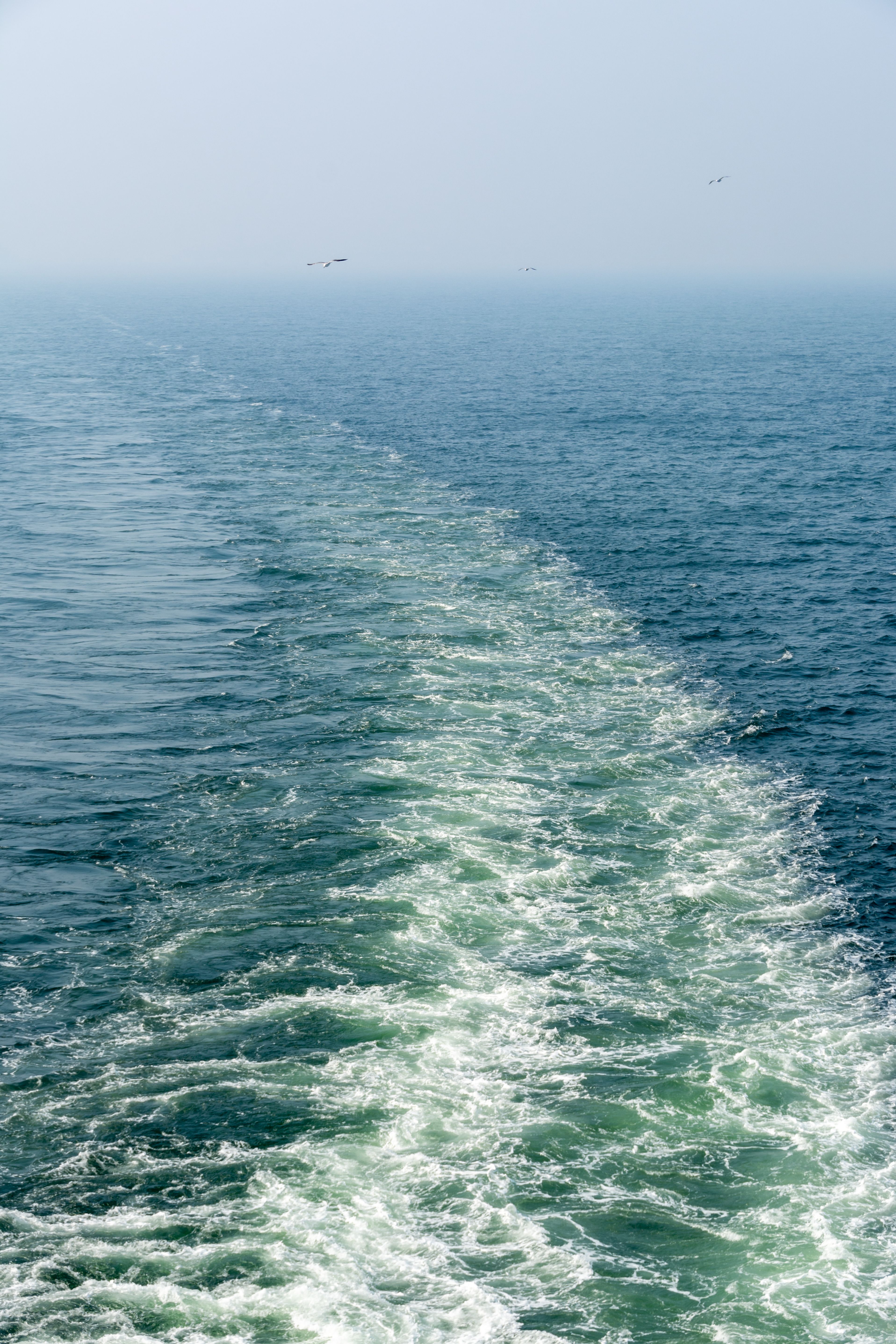 Photo of the Traces of a Ship in the Sea · Free Stock Photo