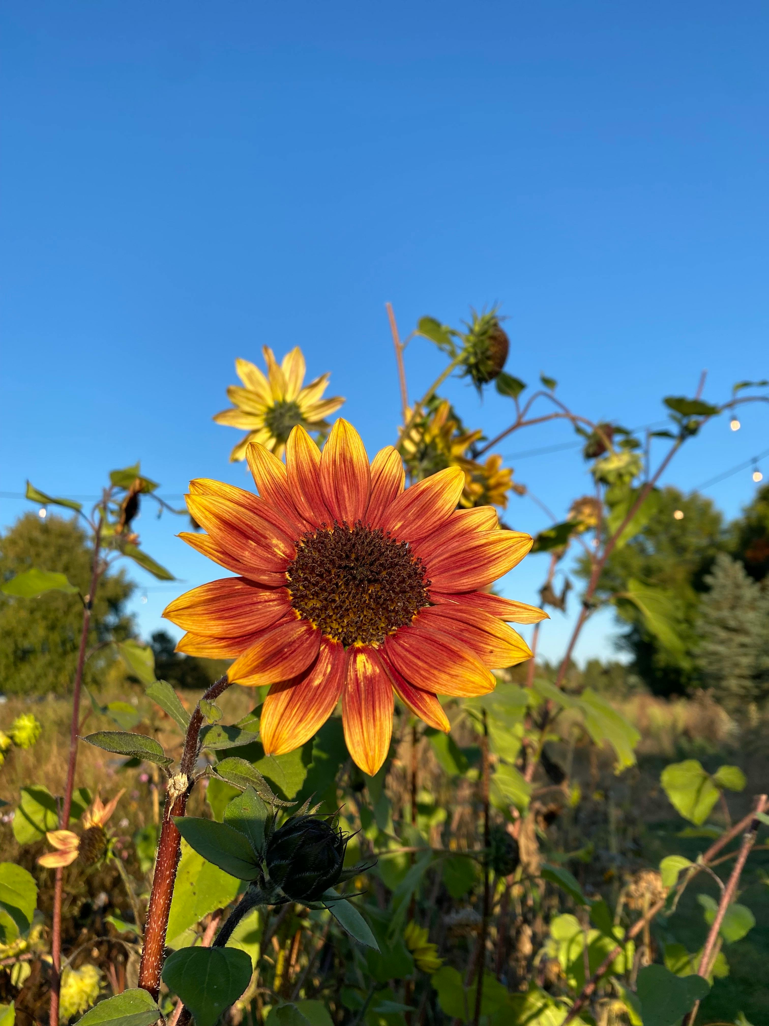 Jason Steele - 写真