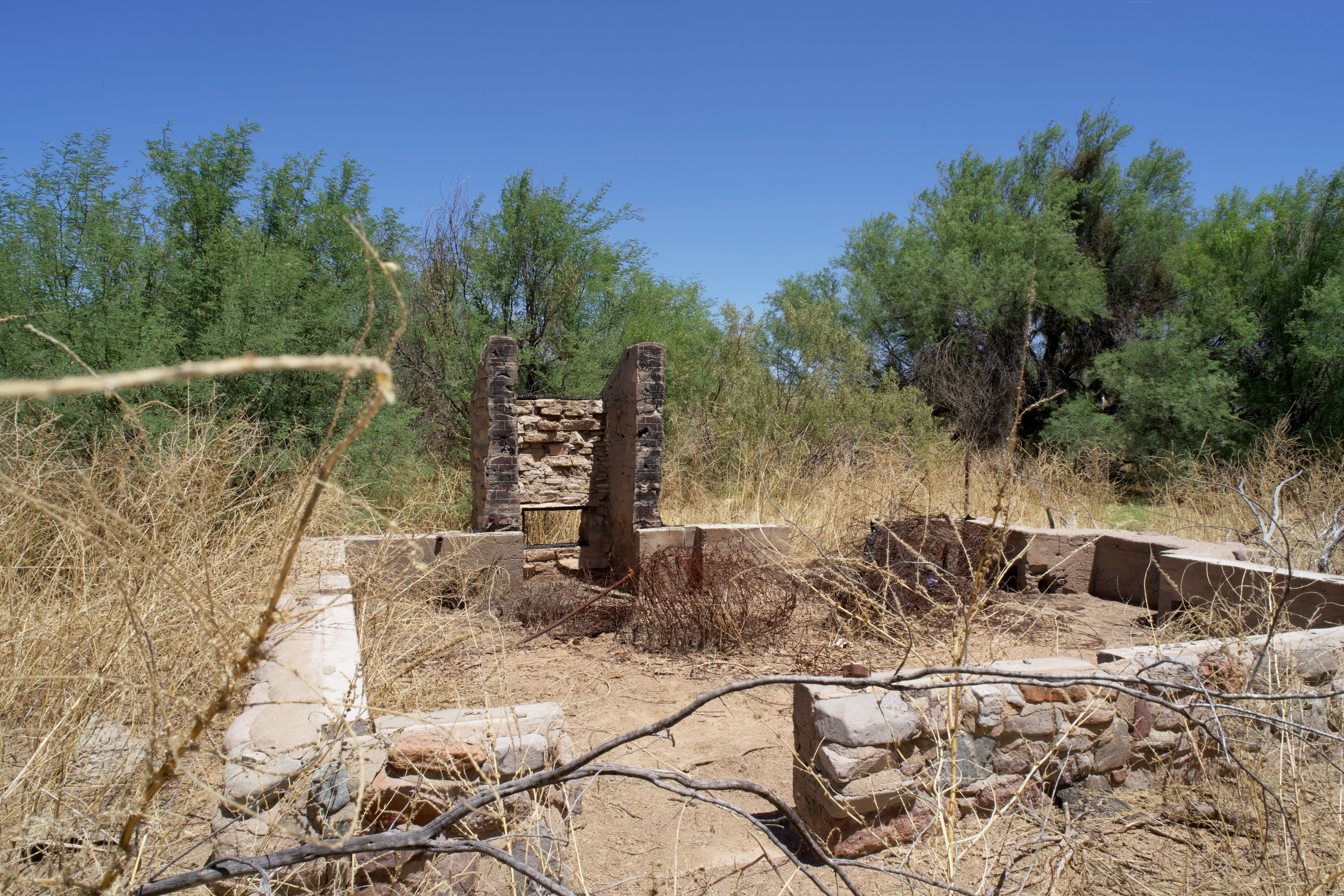 A Destroyed Ecosystem Photos, Download The BEST Free A Destroyed ...