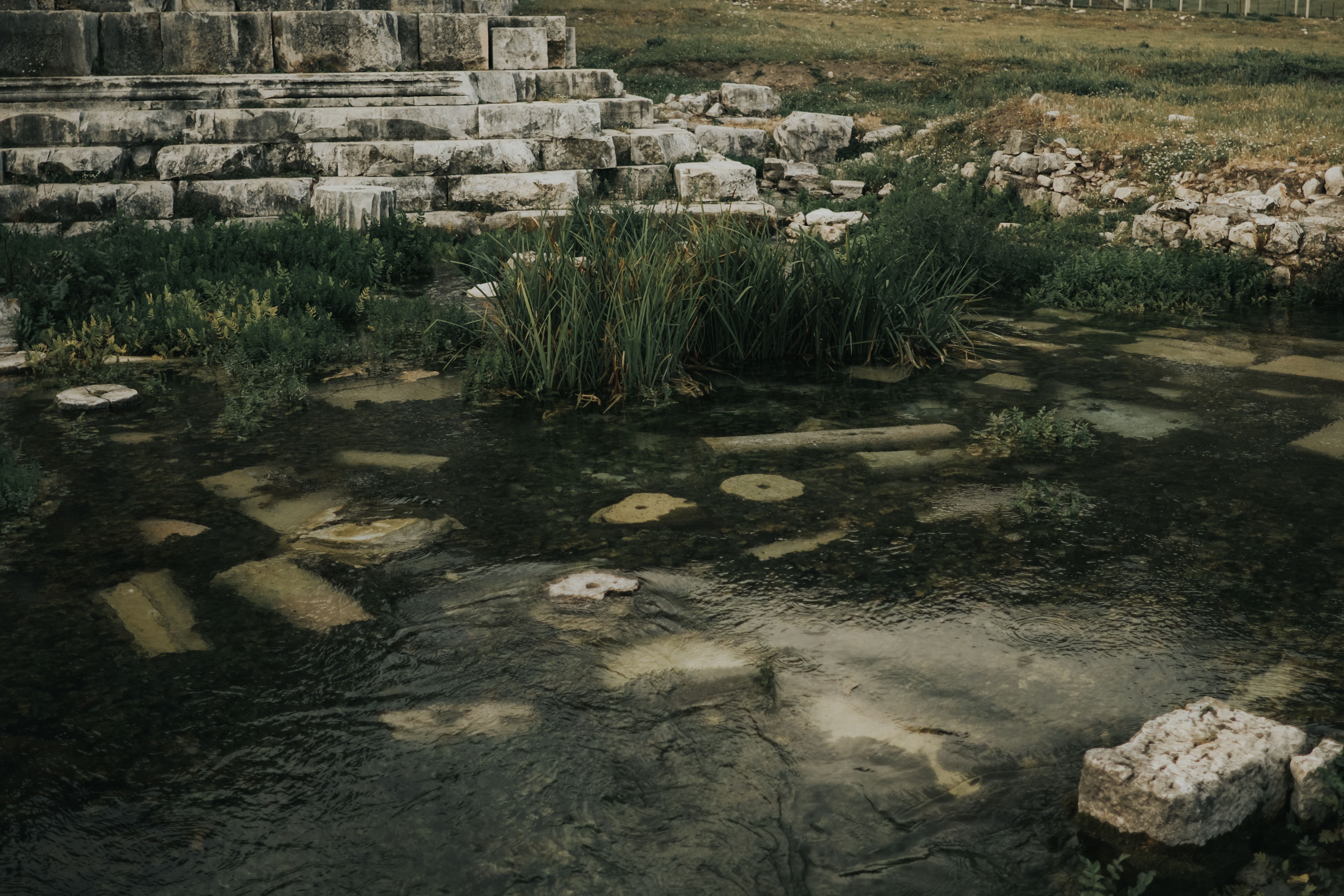 Pond with Rushes near Ancient Ruins · Free Stock Photo