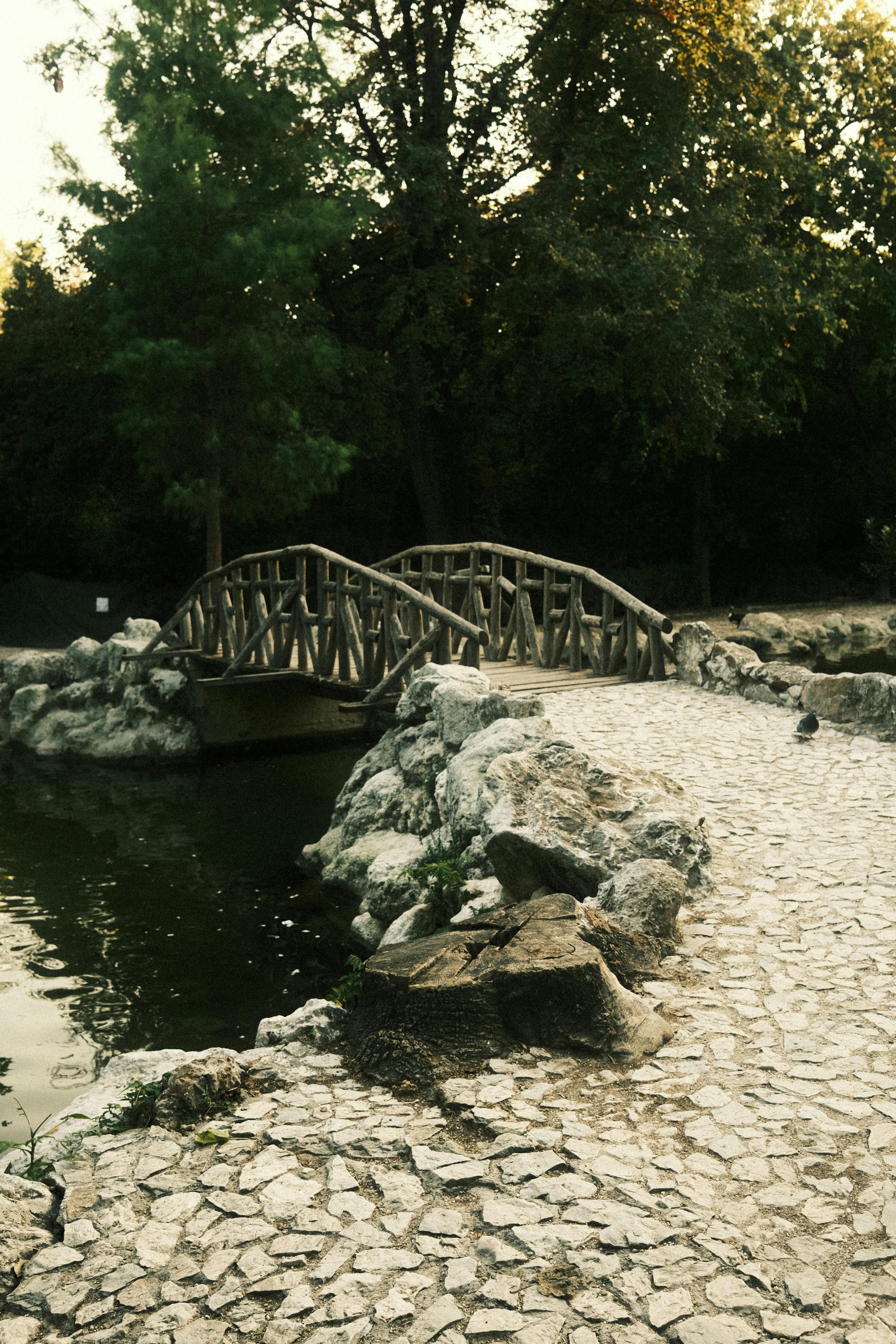 Bridge over Ravine · Free Stock Photo