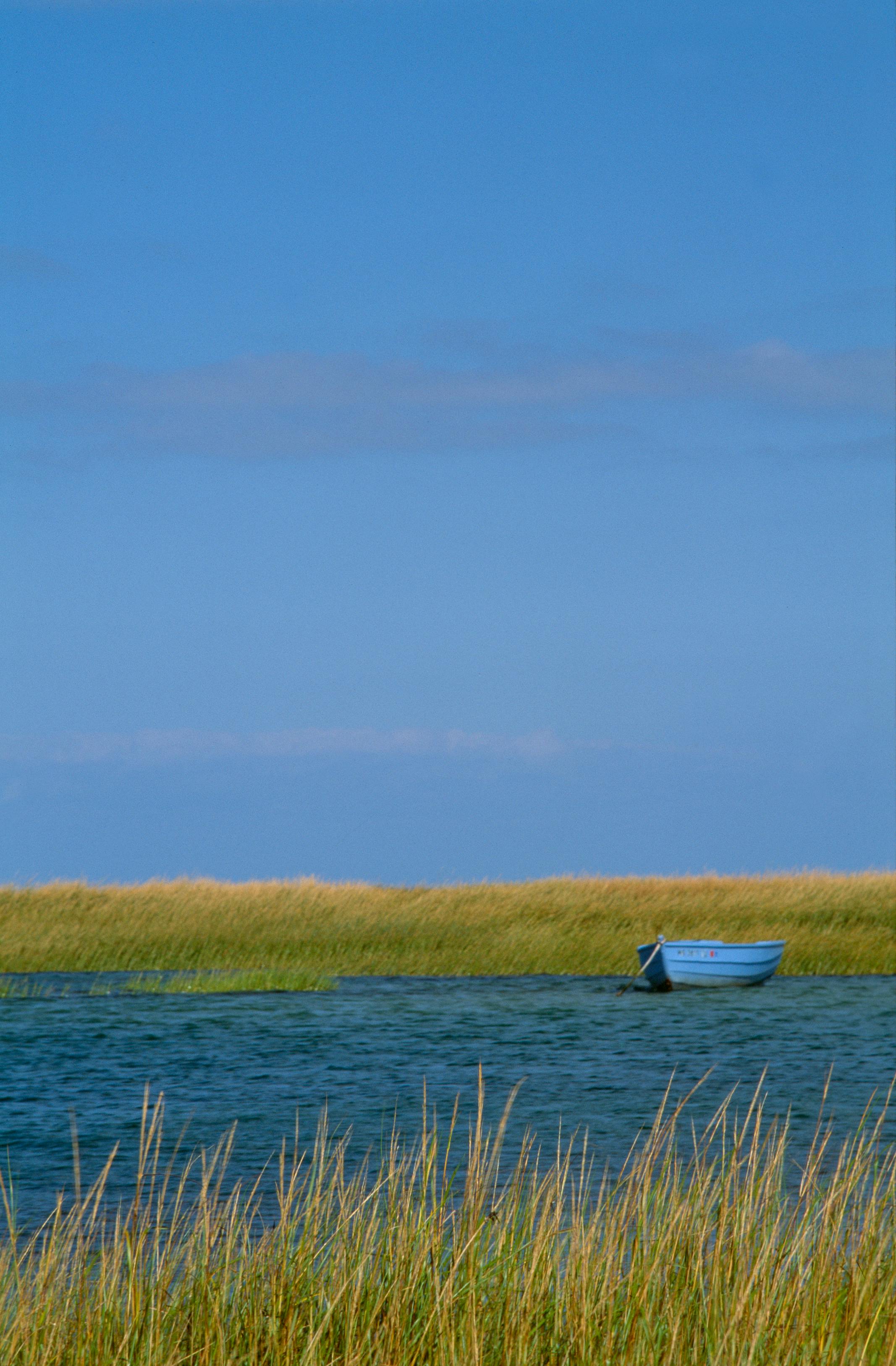 Yamuna River Photos, Download Free Yamuna River Stock Photos & HD Images