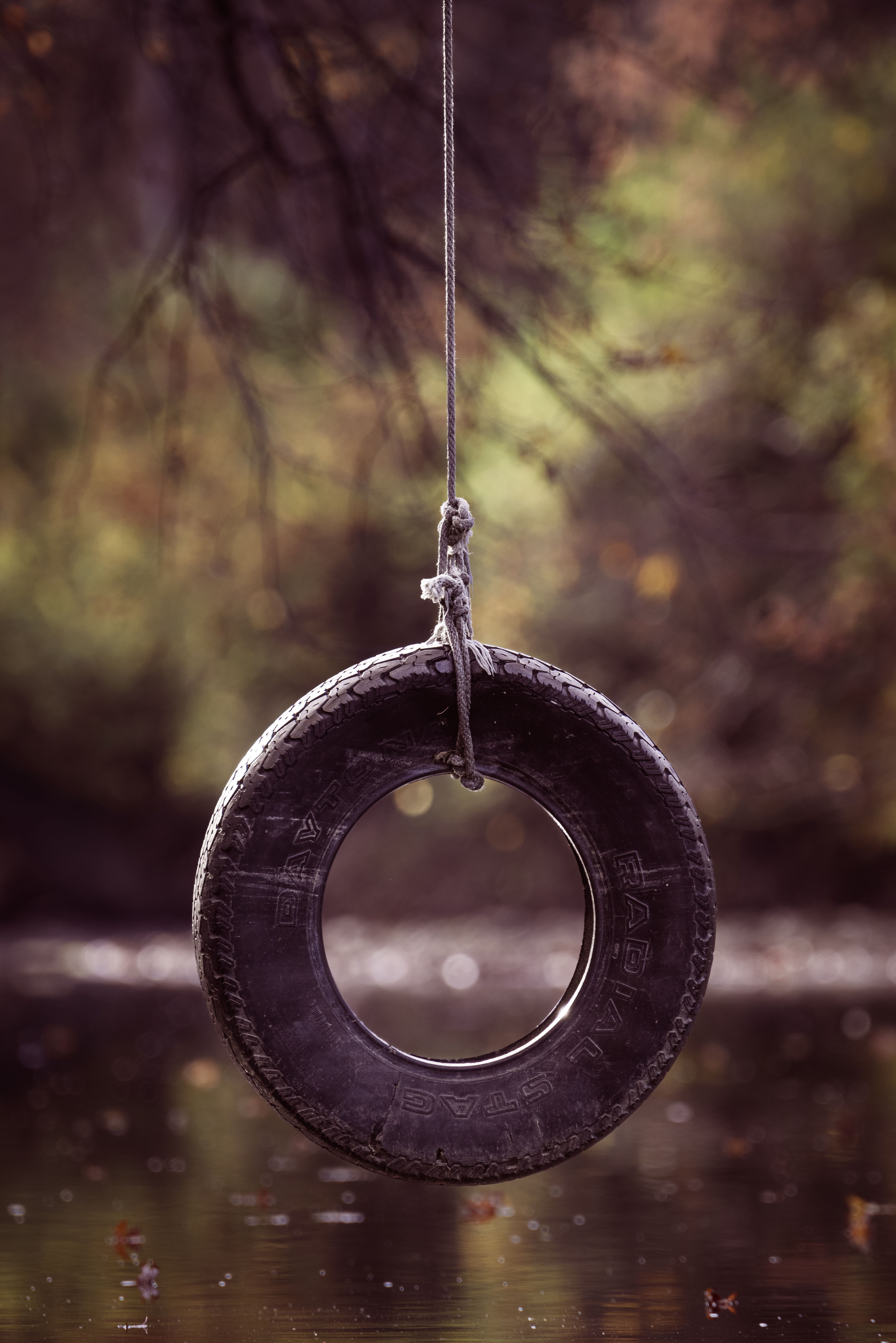Hanging Tire Photos, Download The BEST Free Hanging Tire Stock Photos ...