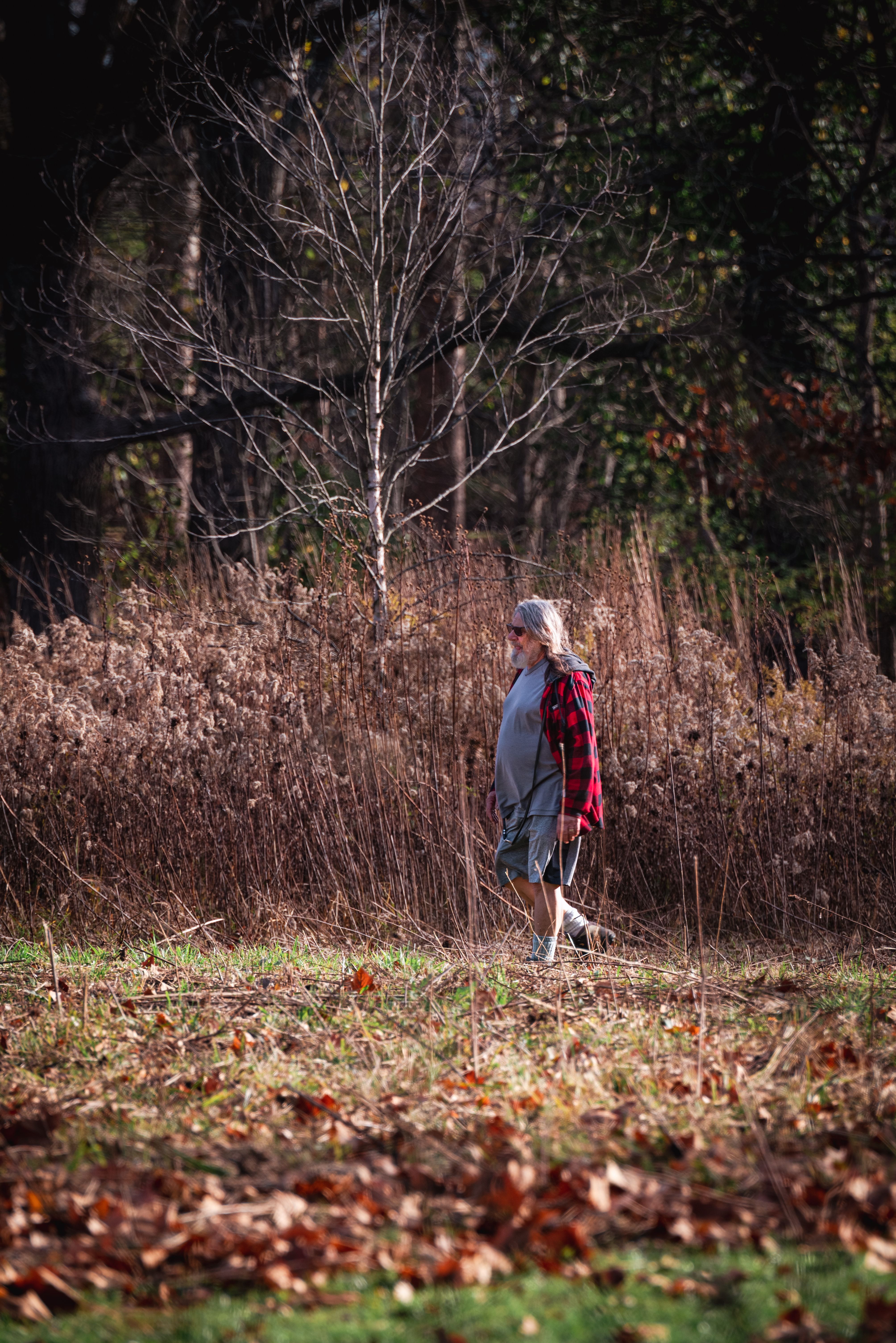 Man Walking in Autumn Forest · Free Stock Photo