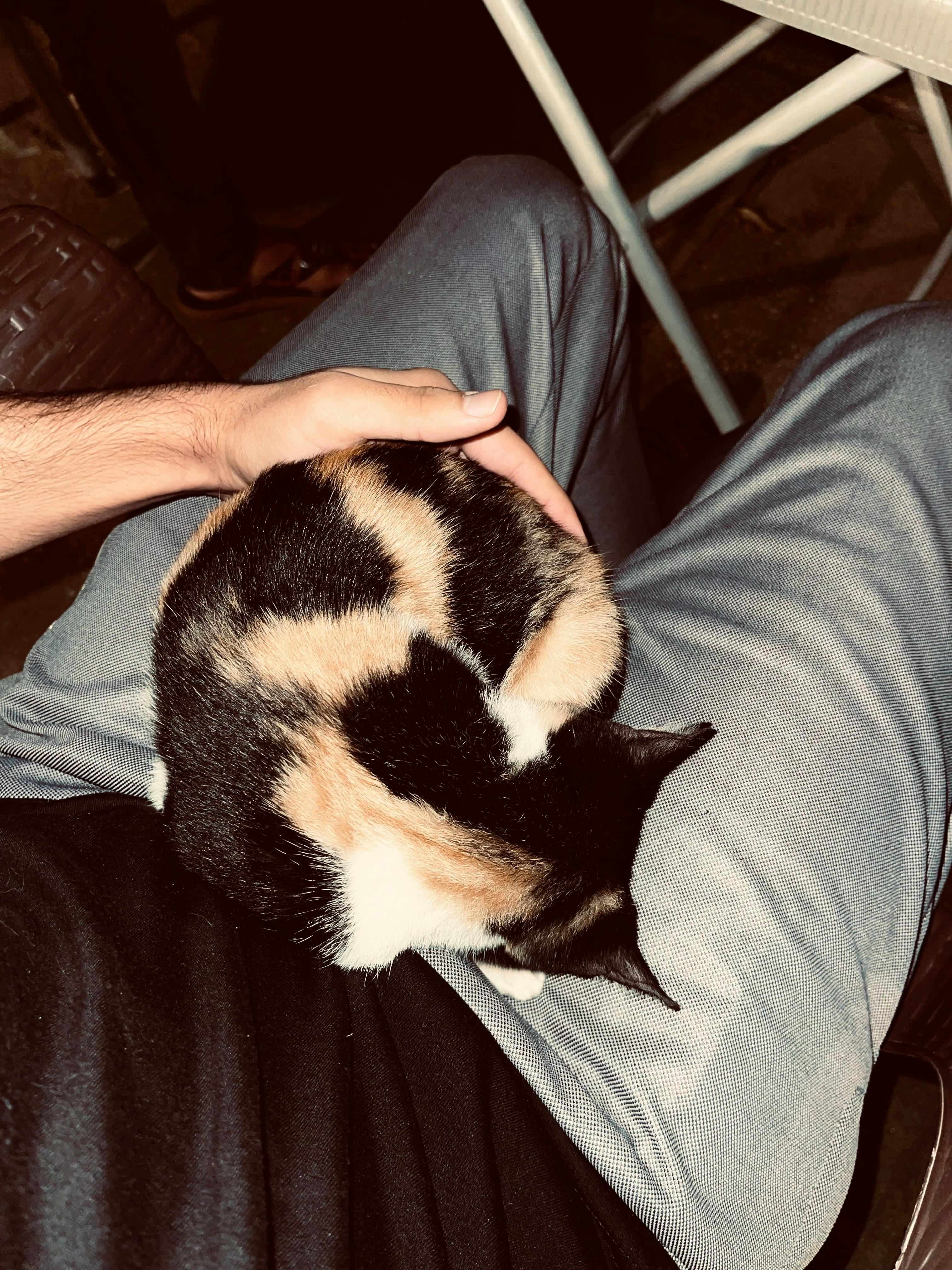 Idrees Khan - 摄影