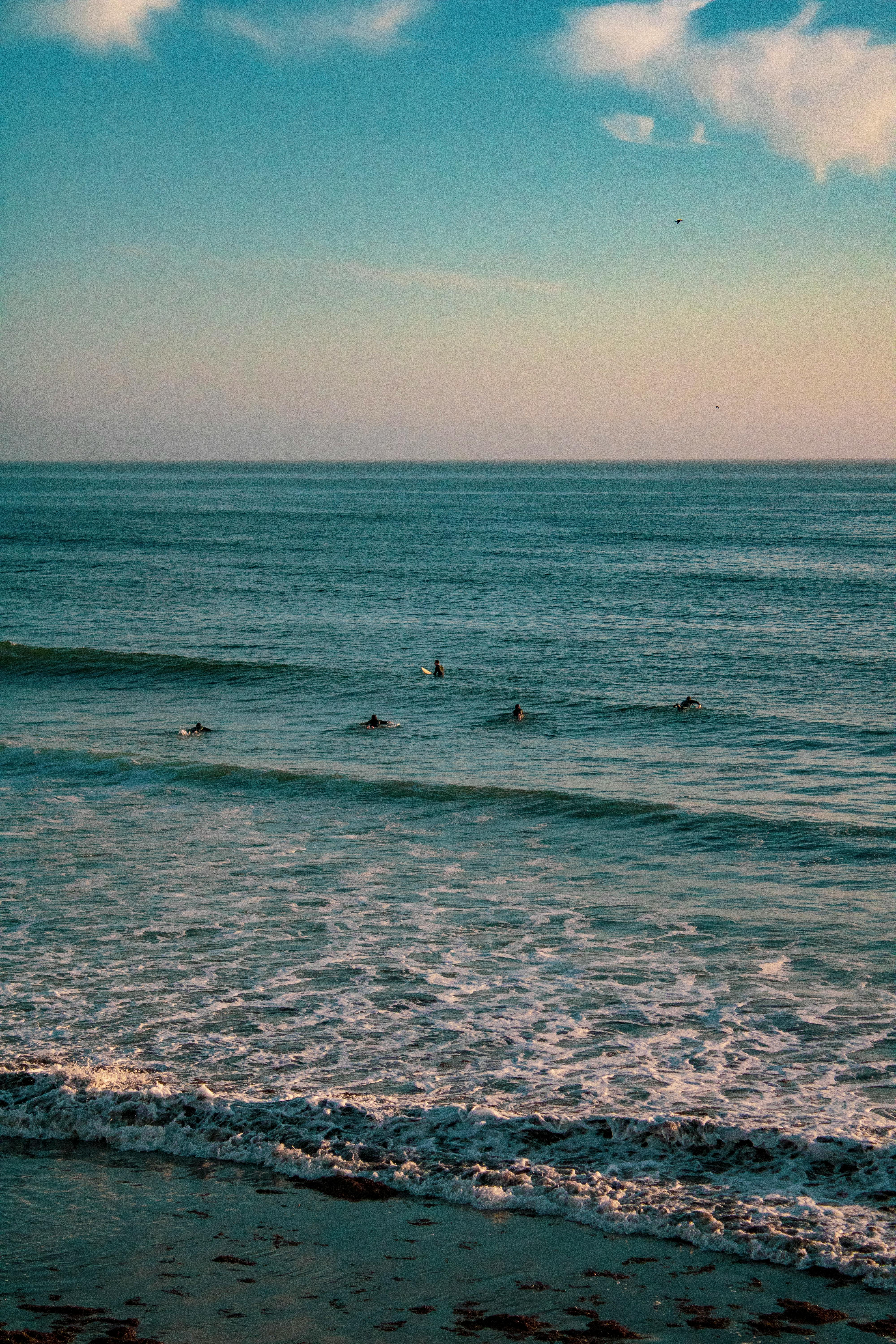 People in Sea near Shore · Free Stock Photo