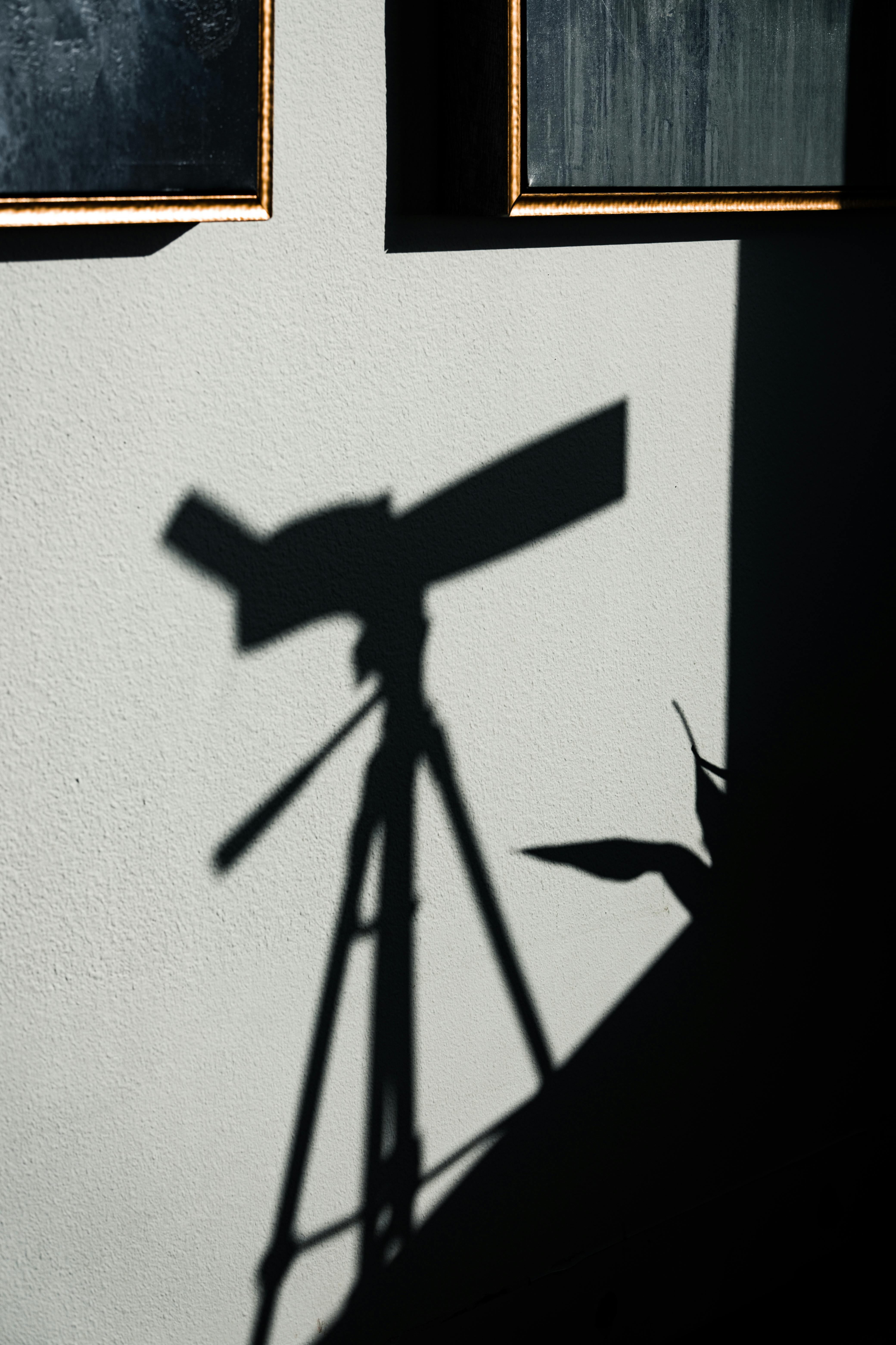 Exploring the Impact of Negative Framing in Adult Entertainment