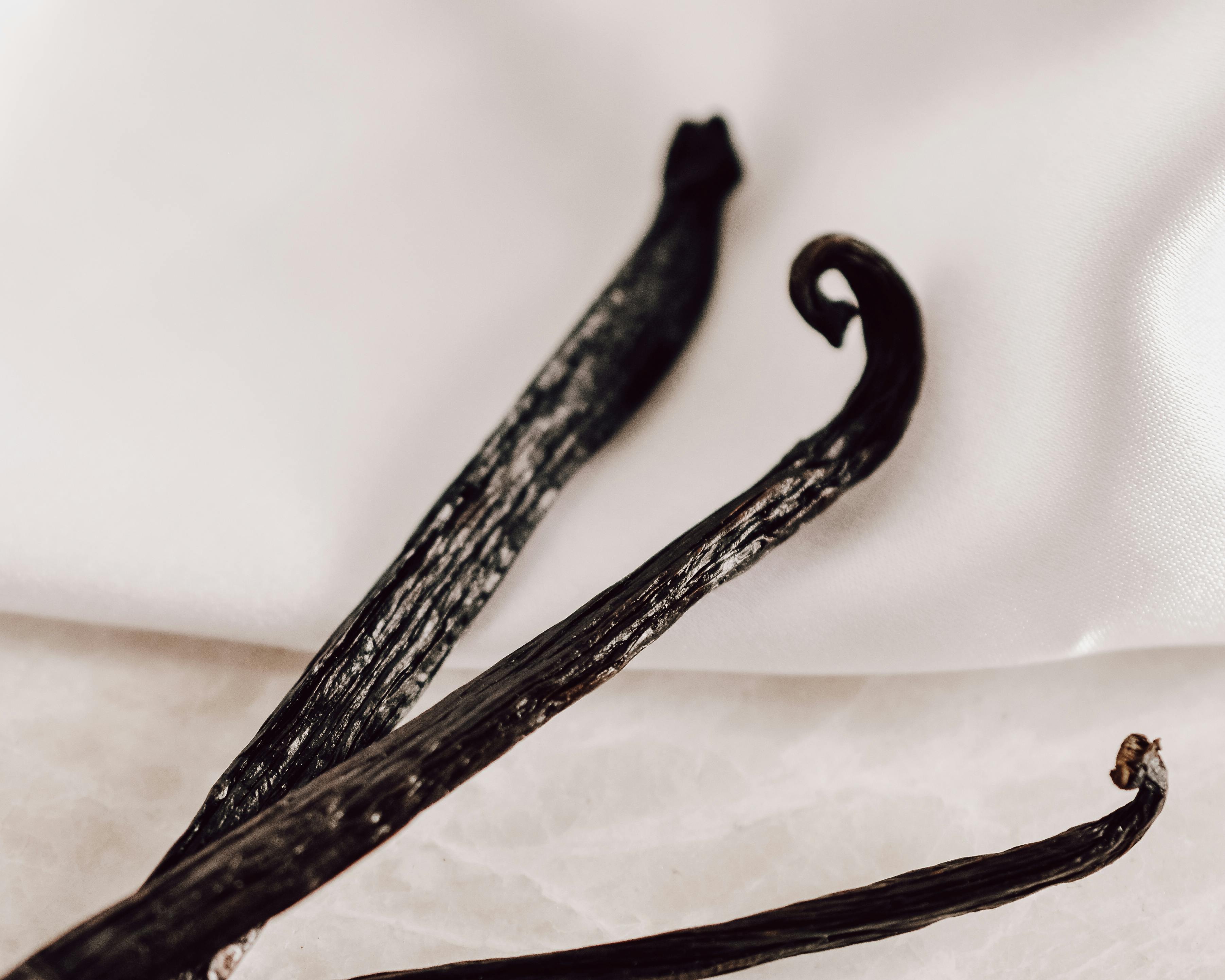 Vanilla Bean Photos, Download The BEST Free Vanilla Bean Stock Photos ...