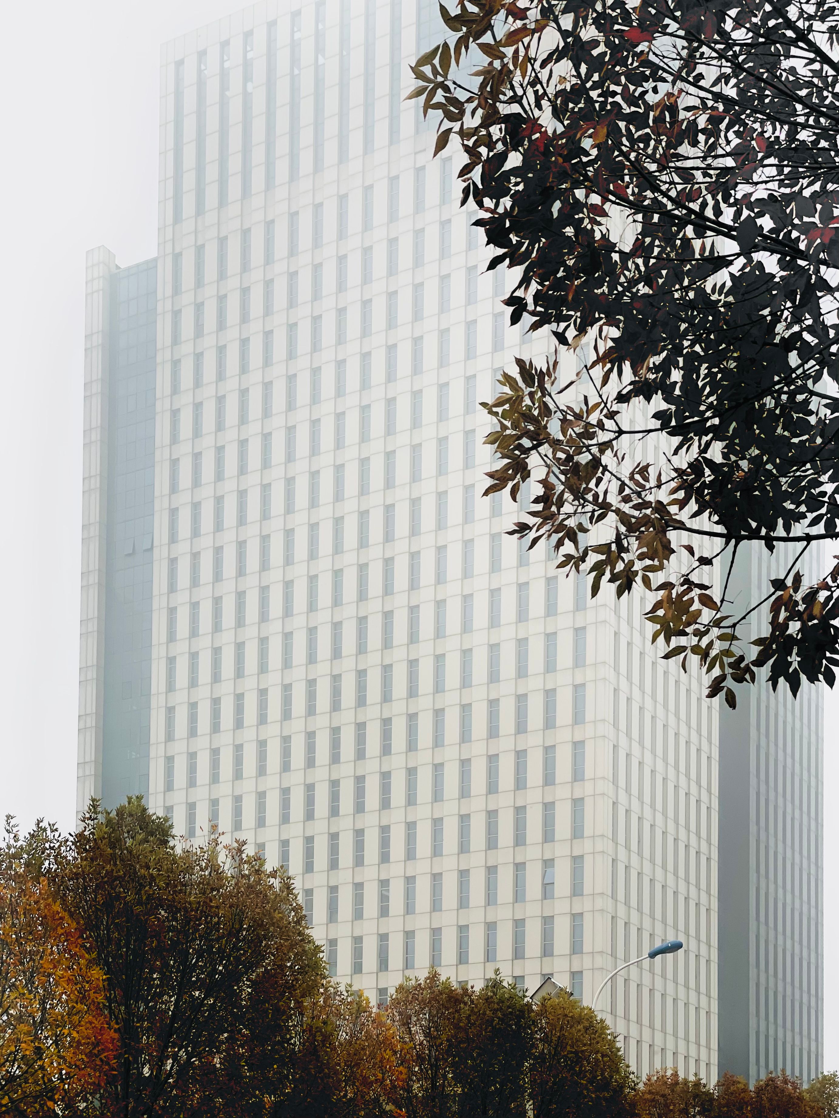 Skyscraper In The Distance Photos, Download Free Skyscraper In The ...