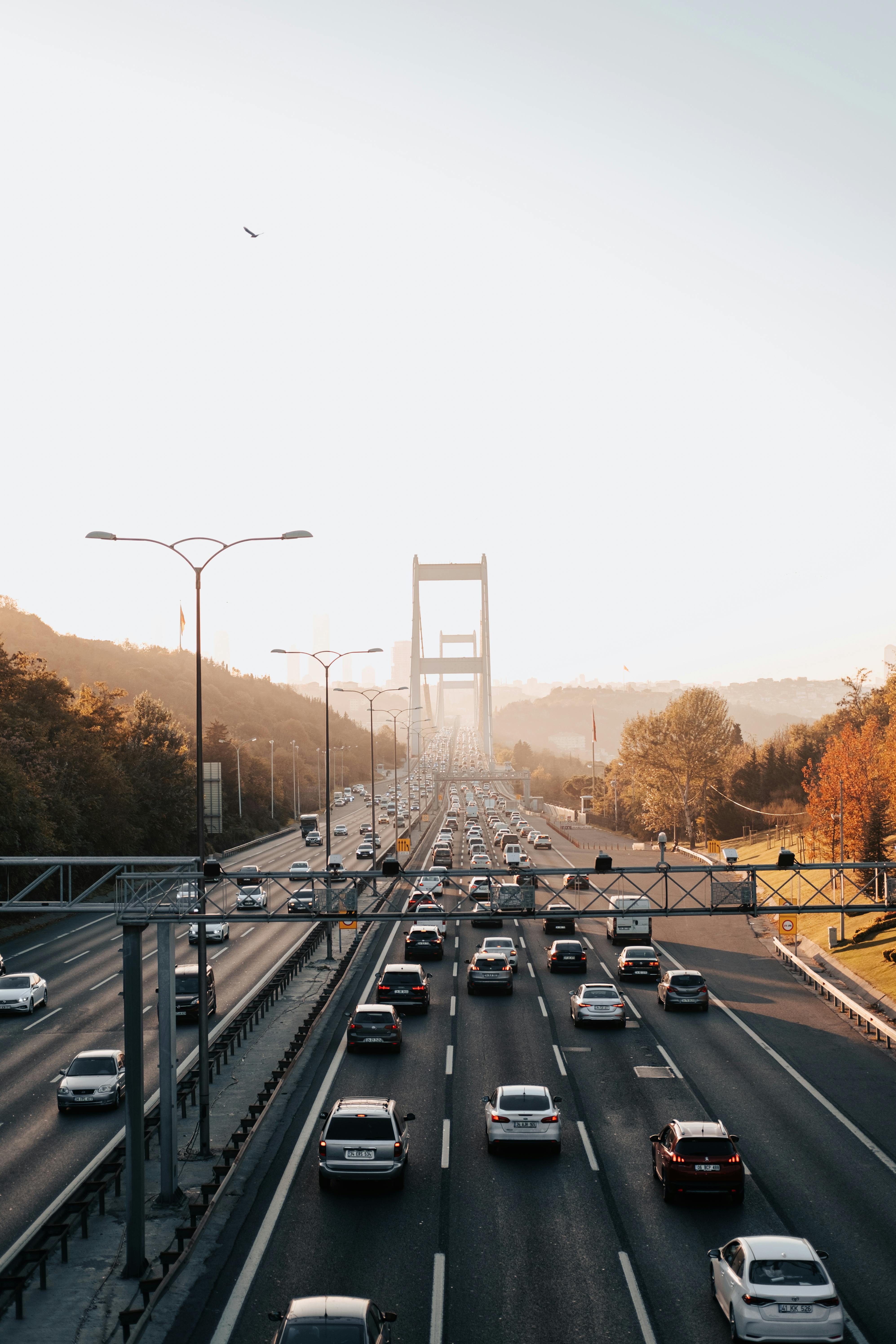 Cars on a Highway · Free Stock Photo