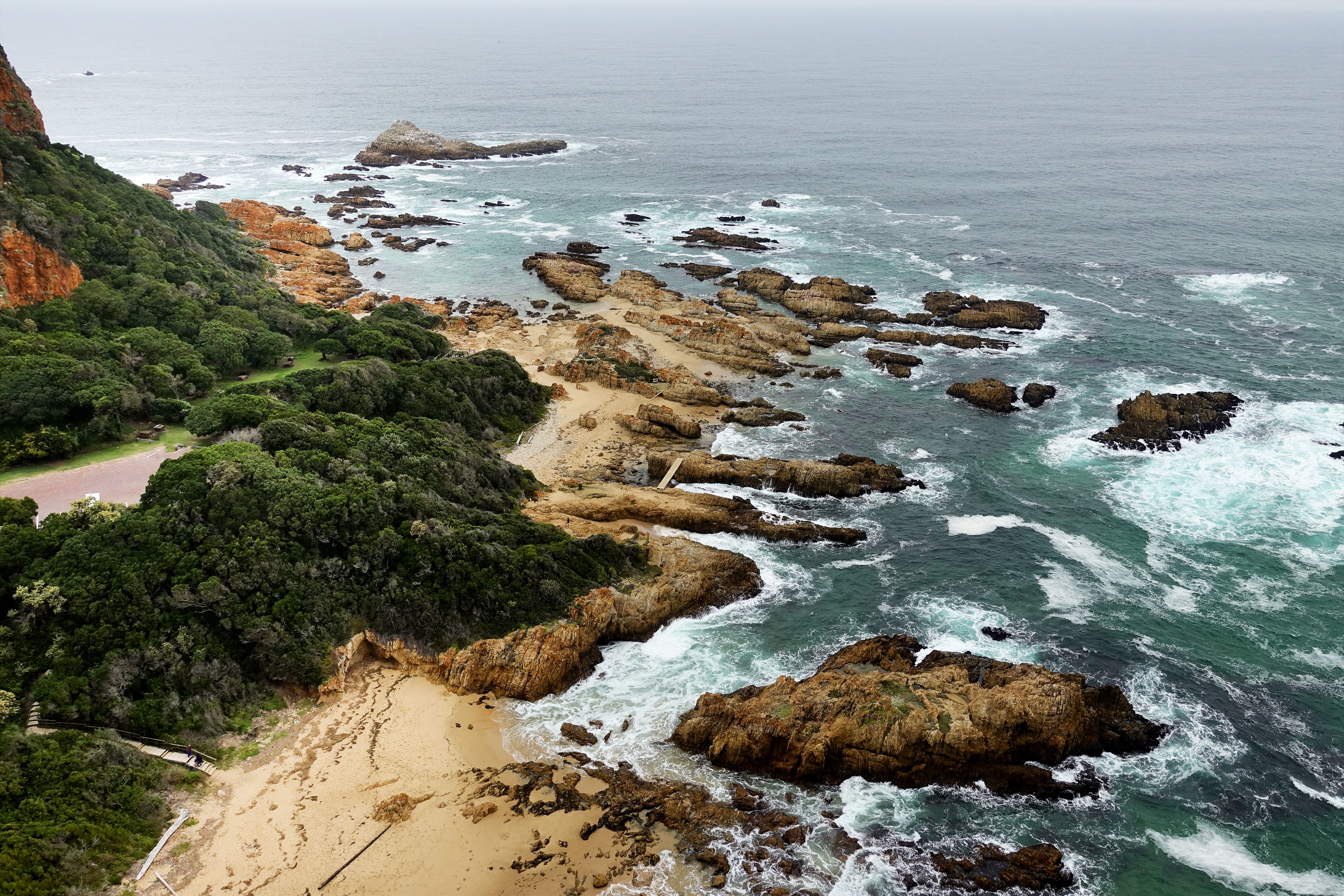 Aerial View of Cliff With Trees Next to Sea · Free Stock Photo