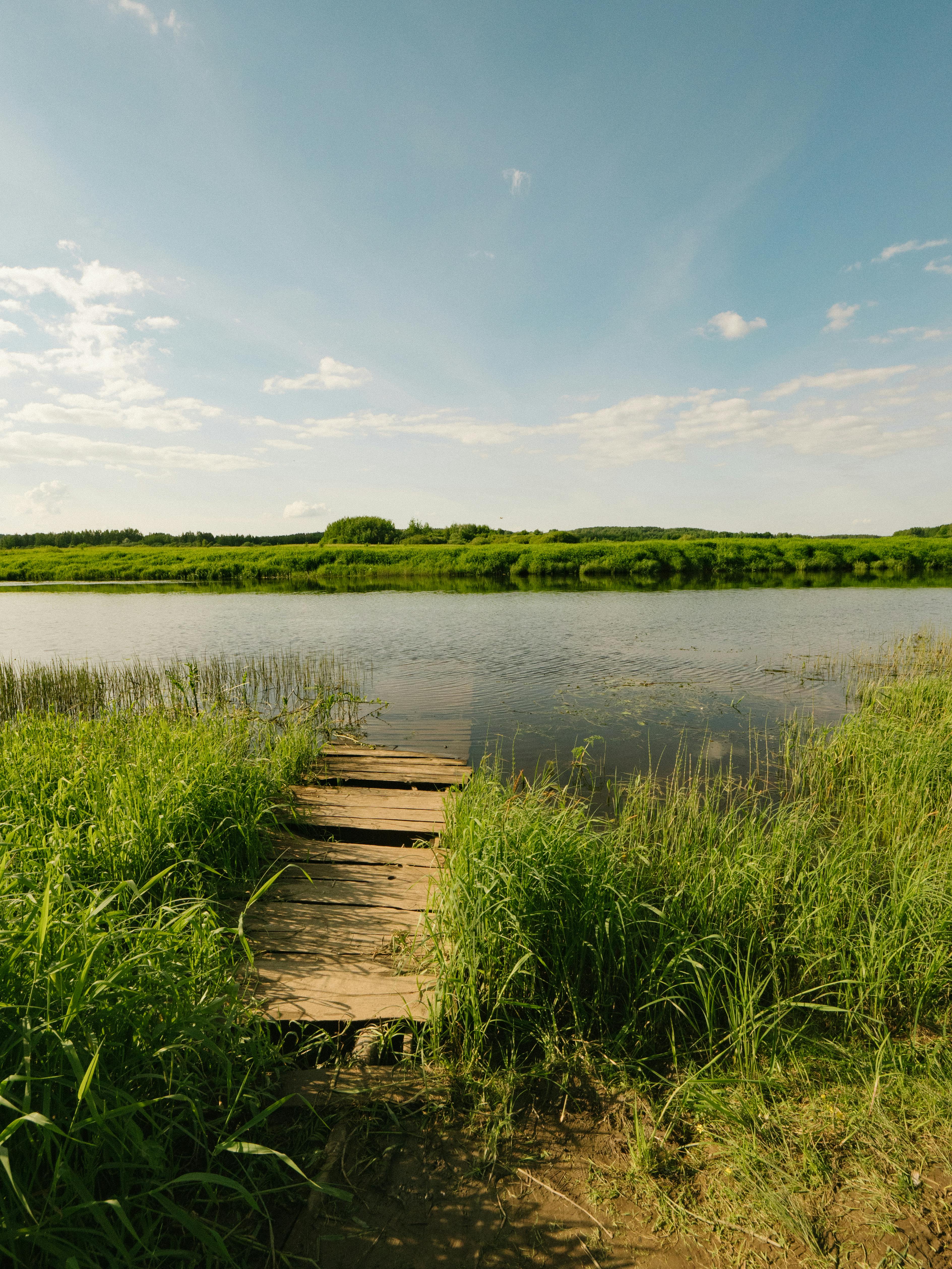 A Wooden Dock Between Green Grass Near the Lake · Free Stock Photo