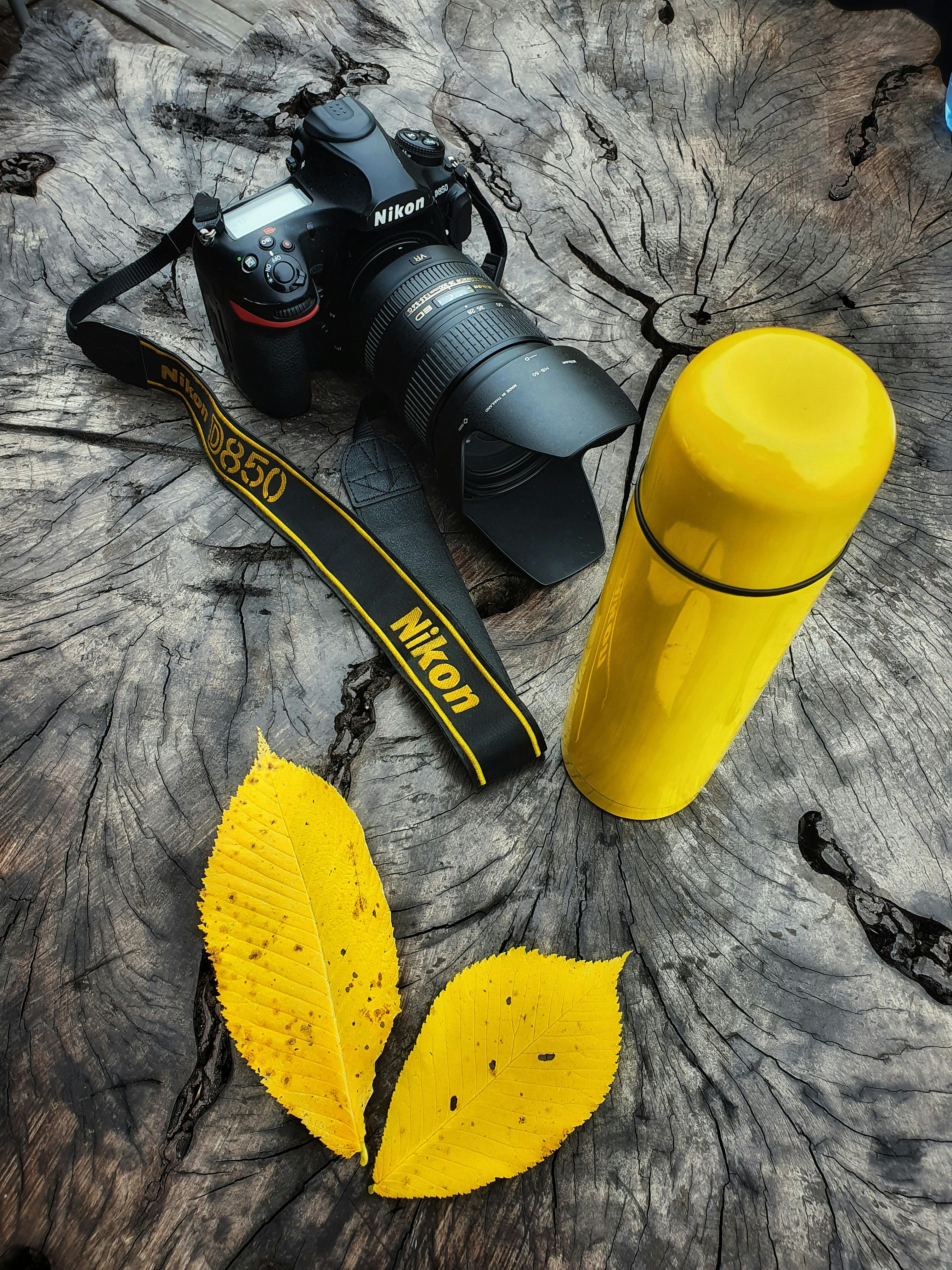 Yellow Camera Photos, Download The BEST Free Yellow Camera Stock Photos ...