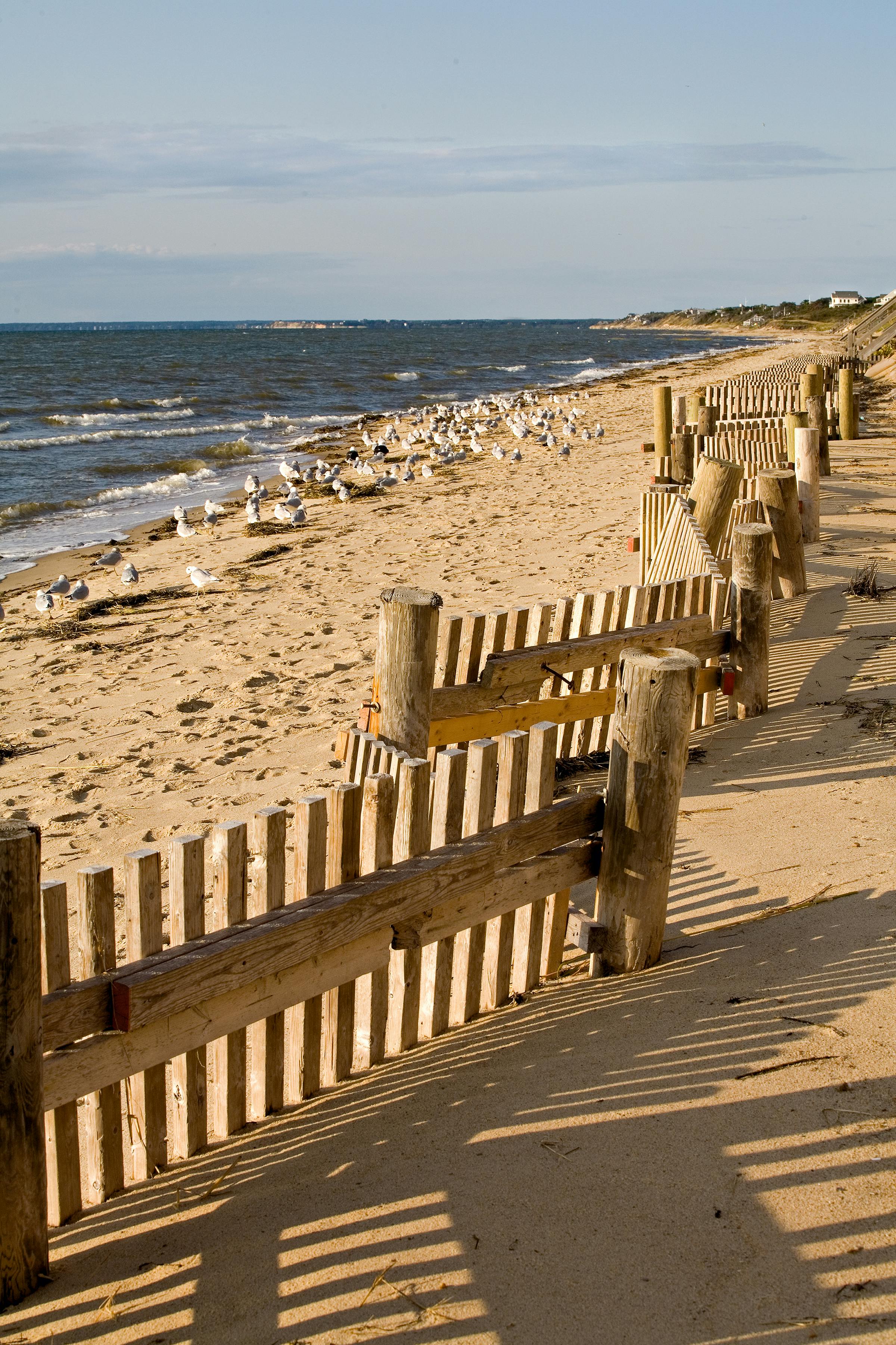 Wooden Fence at the Beach · Free Stock Photo