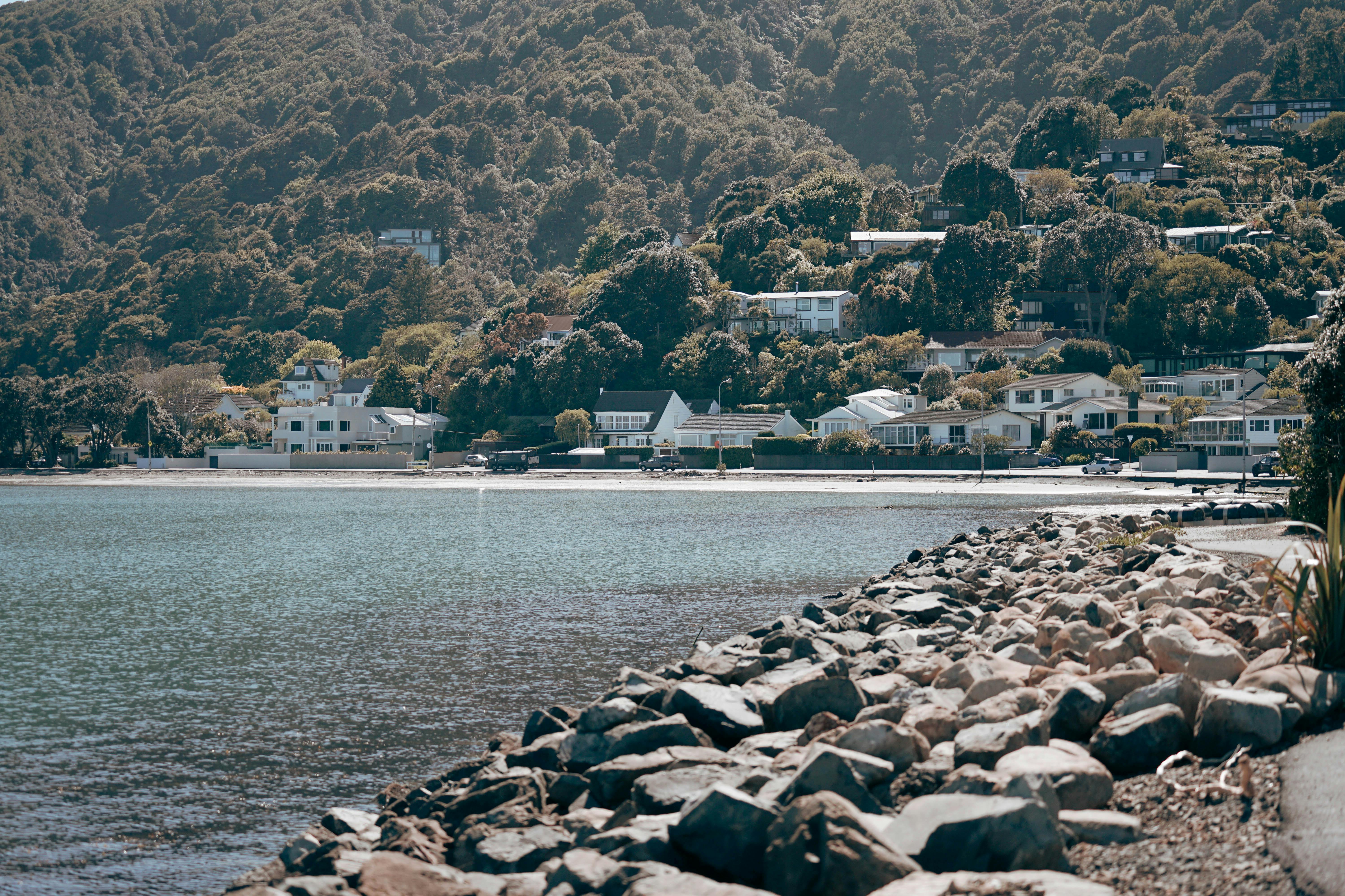 Buildings on a Seashore · Free Stock Photo