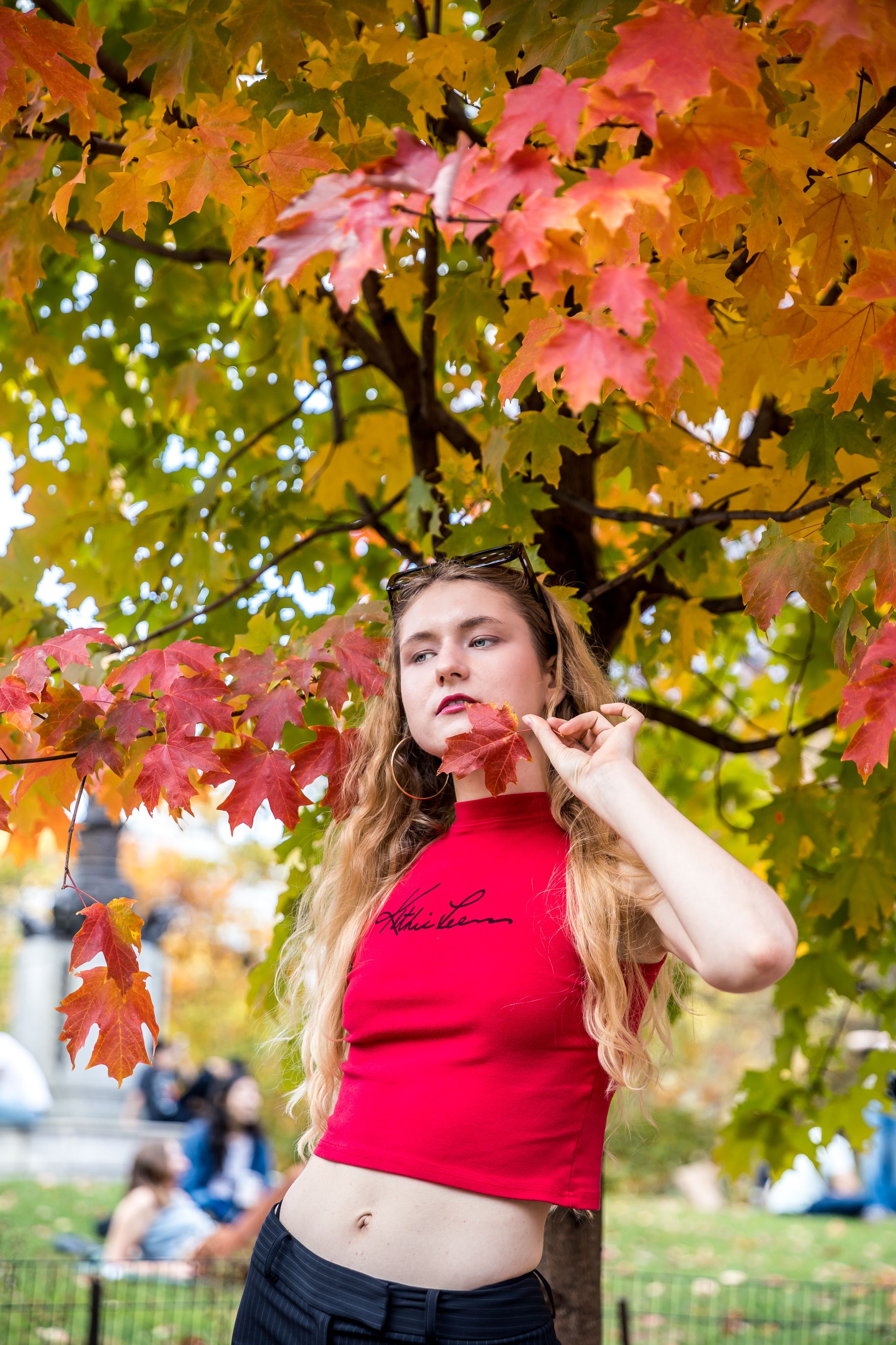 A Woman in a Park · Free Stock Photo